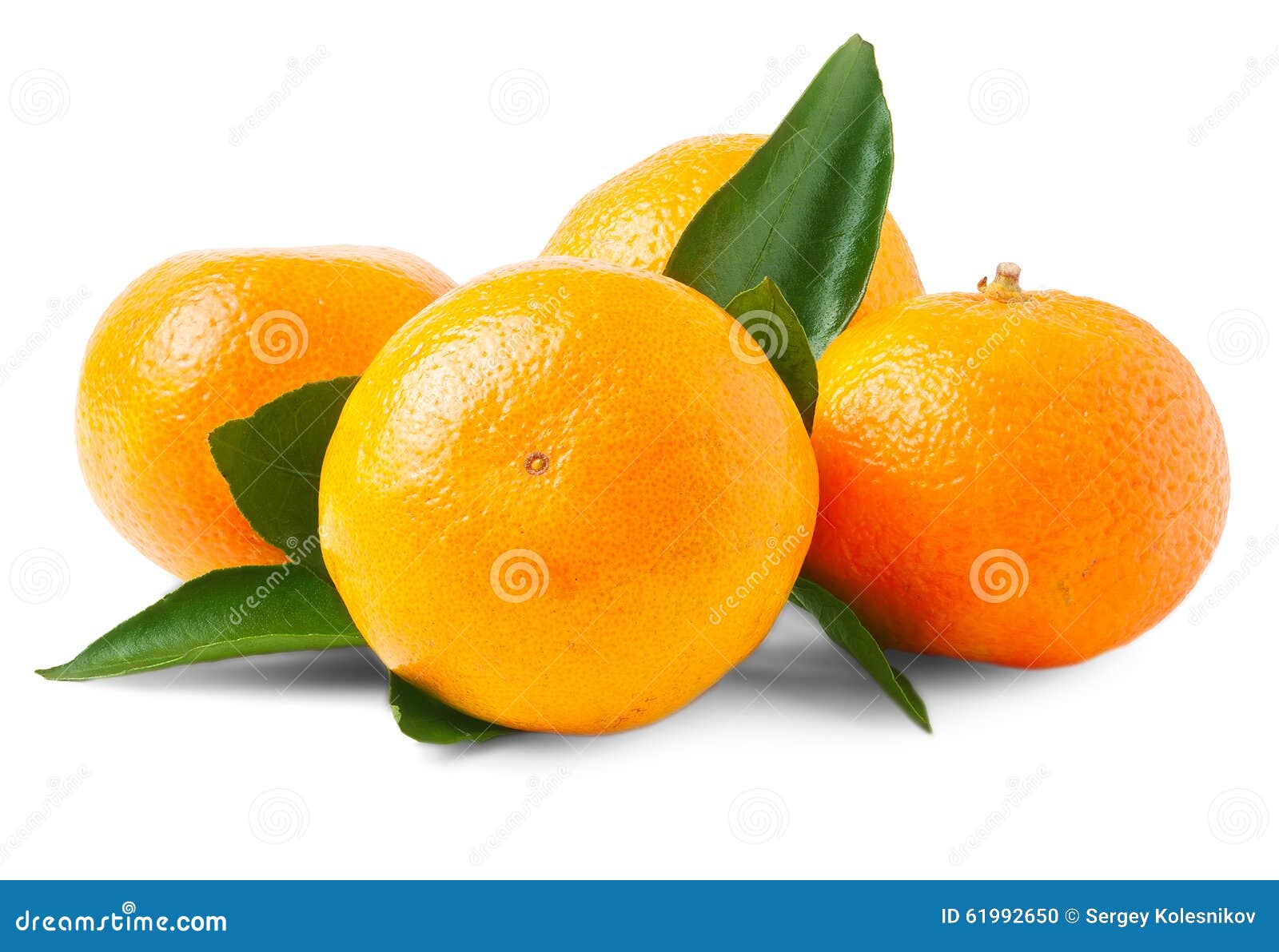 Fyra nya mandariner arkivfoto. Bild av fyra, dricka, bakgrund - 61992650