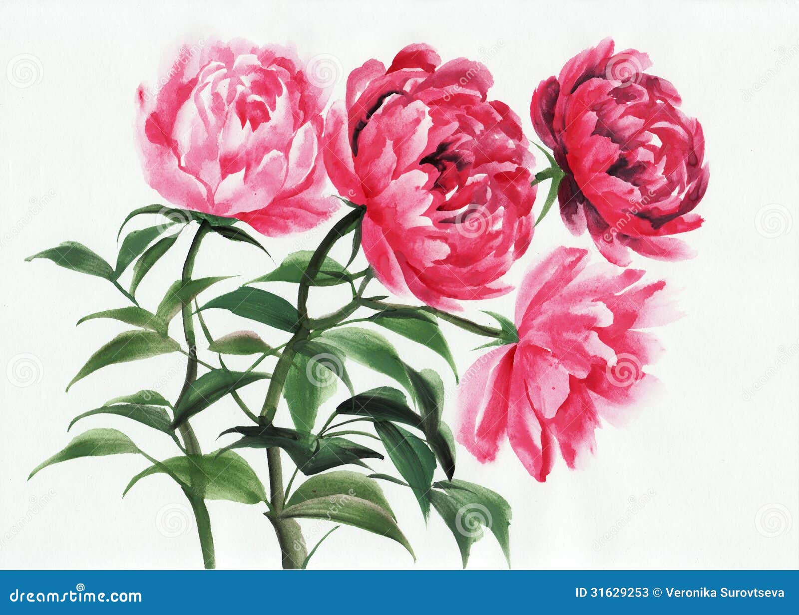 Fyra rosa pioner stock illustrationer. Illustration av japan - 31629253