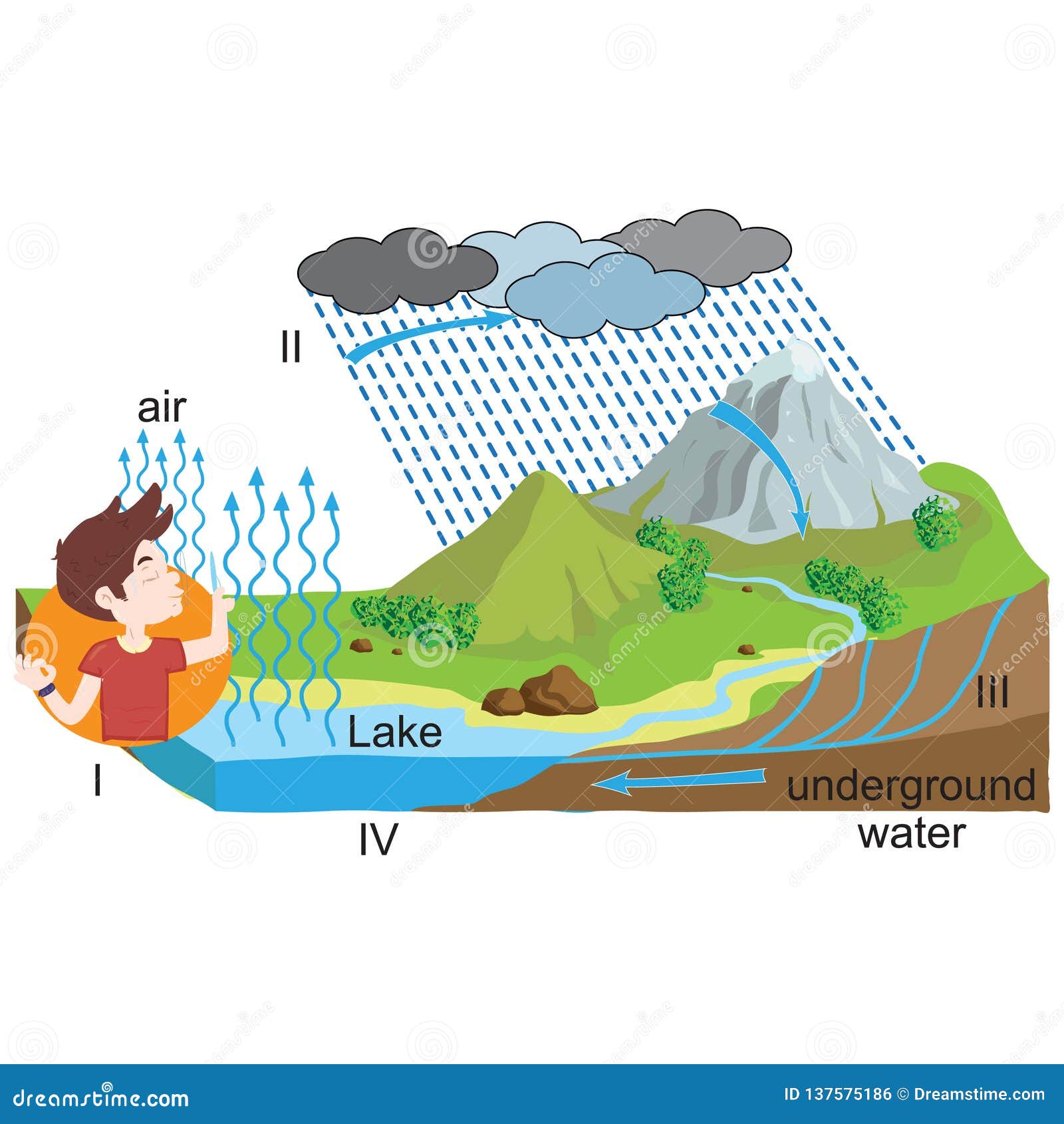 Fysica - Watercyclus, De Reis Van Water Vector Illustratie ...