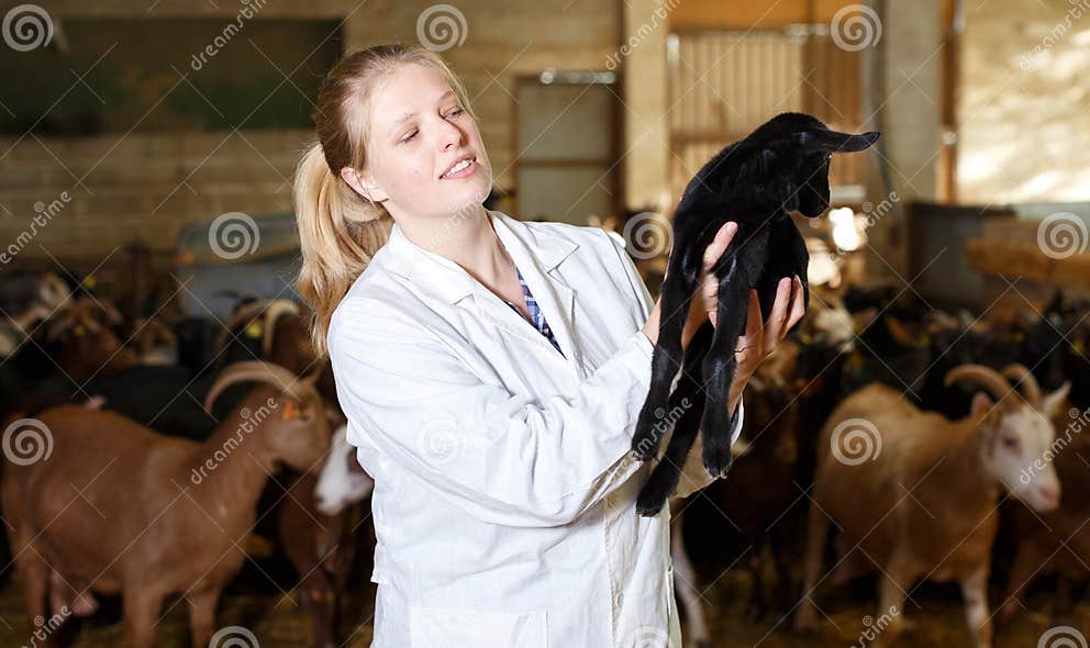 Fêmea Reprodutora Com Vestimentas Imagem de Stock - Imagem de produto ... Fêmea Reprodutora Com Vestimentas Imagem de Stock - Imagem de produto ...