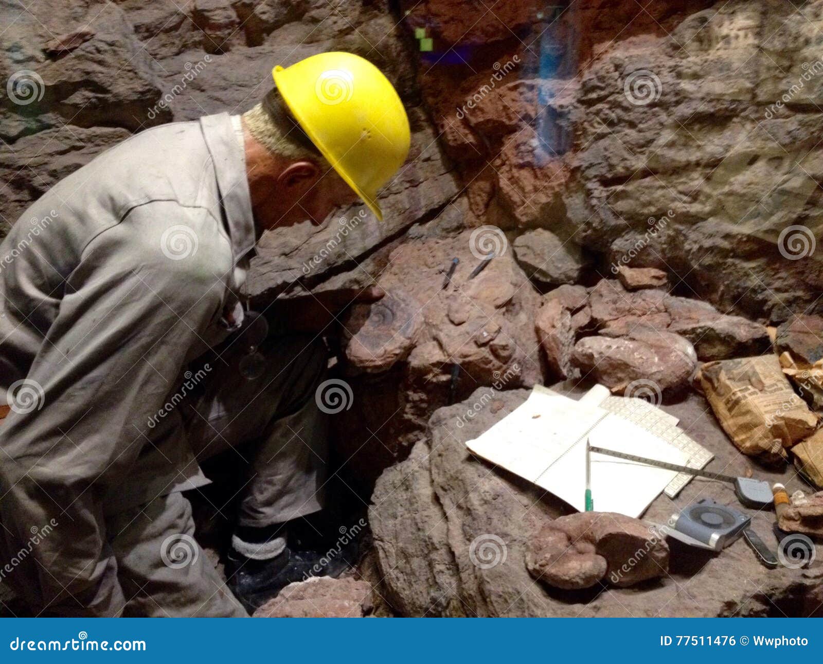 Géologue photo éditorial. Image du nature, pièce, musée - 77511476