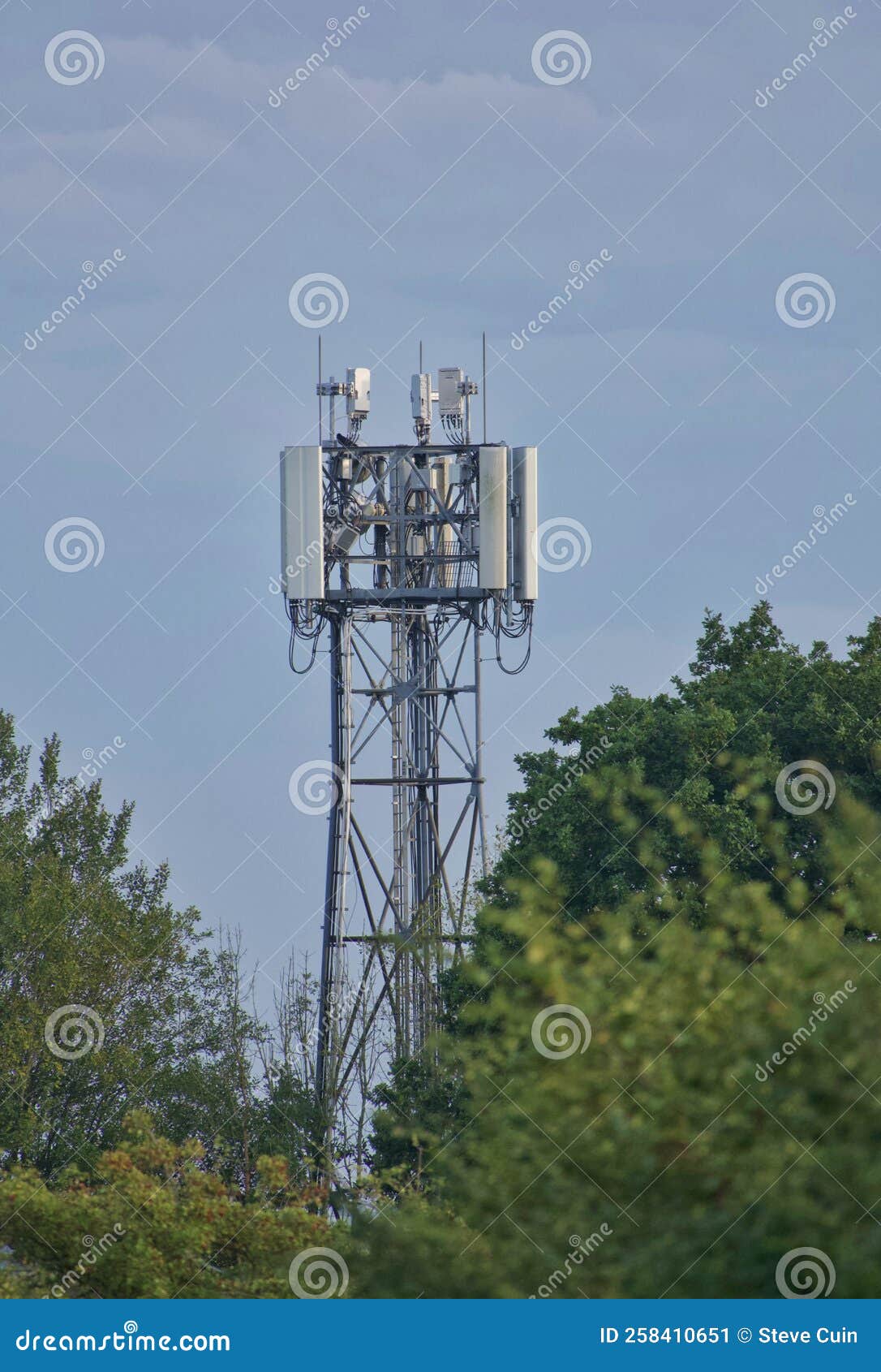 5G stock image. Image of protruding, trees, communications - 258410651