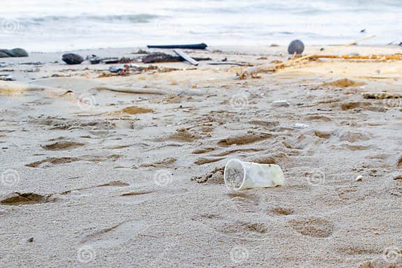 Gabage on the beach stock image. Image of dump, dirty - 232733271