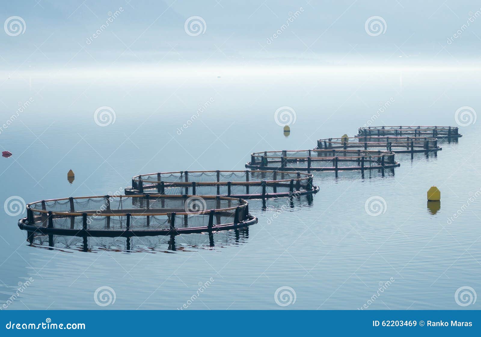Gabbie per la piscicoltura immagine stock. Immagine di produzione ...