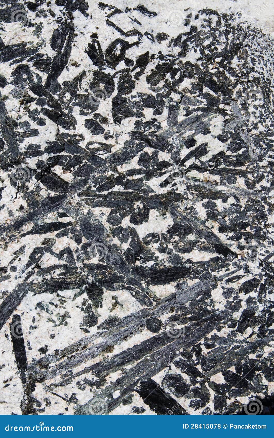 Gabbro Pegmatite