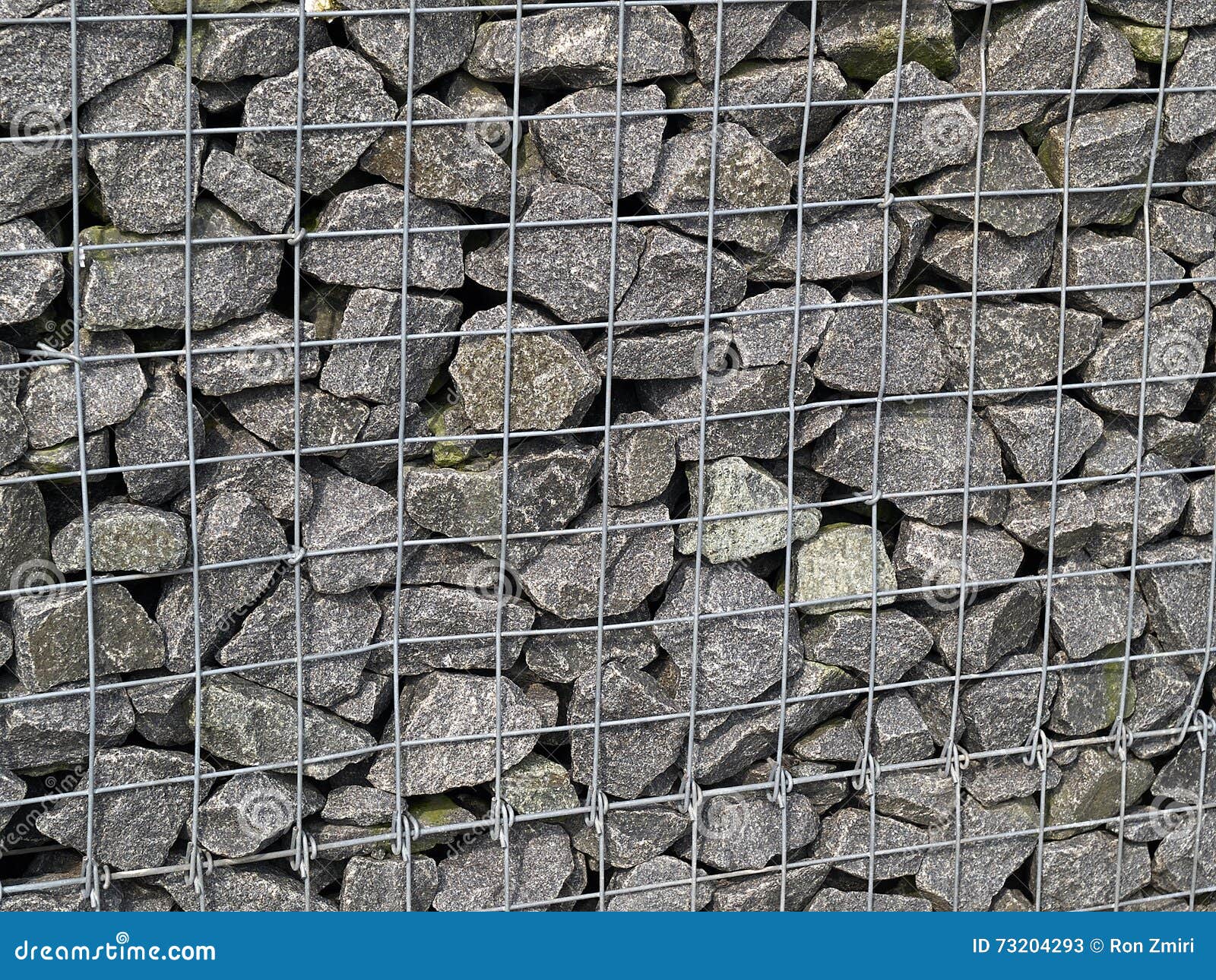Iron Mesh Fencing Of A Zoo In Focus And Tiger In Background Stock Image ...