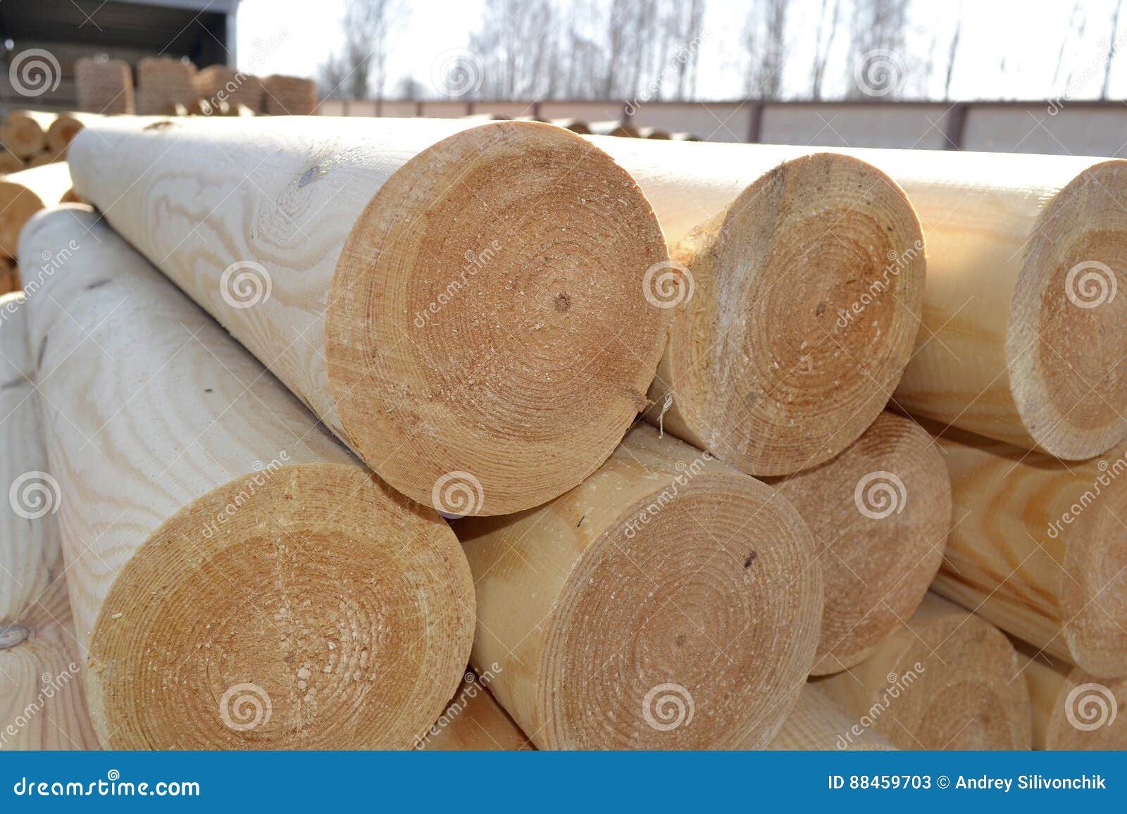 Wood Cylinder Podium, Product Display Stand On Floor Mosaic Background ...