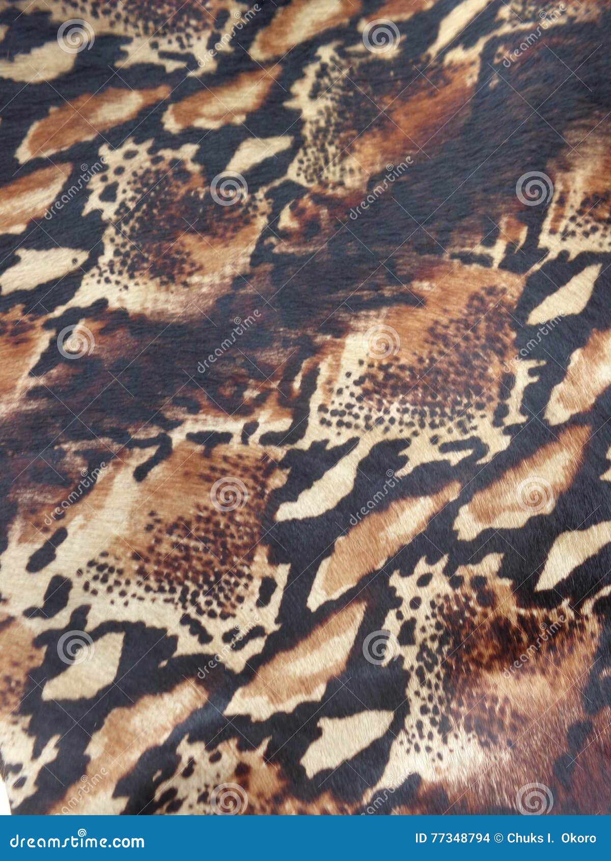 Gaboon viper snake skin stock photo. Image of aged, snake - 77348794