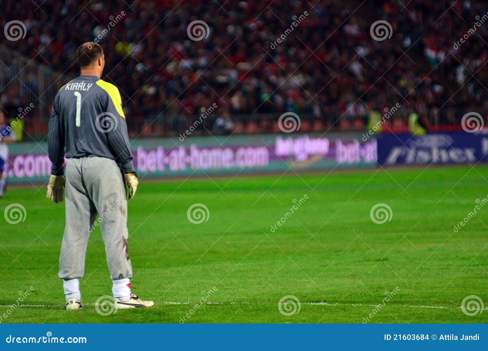 Gabor Kiraly editorial stock image. Image of match, gabor - 21603684