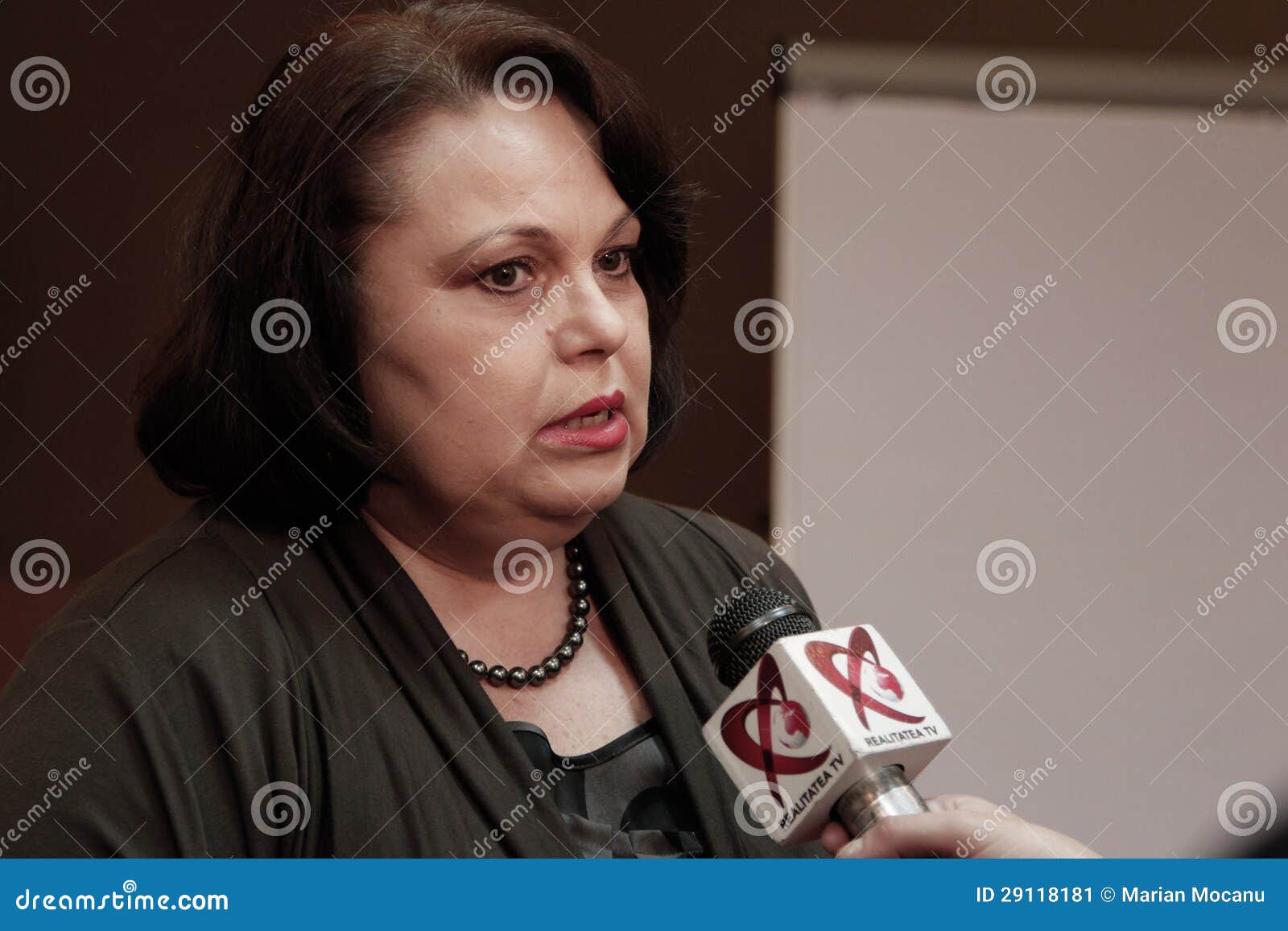 Gabriela Roman editorial photo. Image of interviw, professor - 29118181