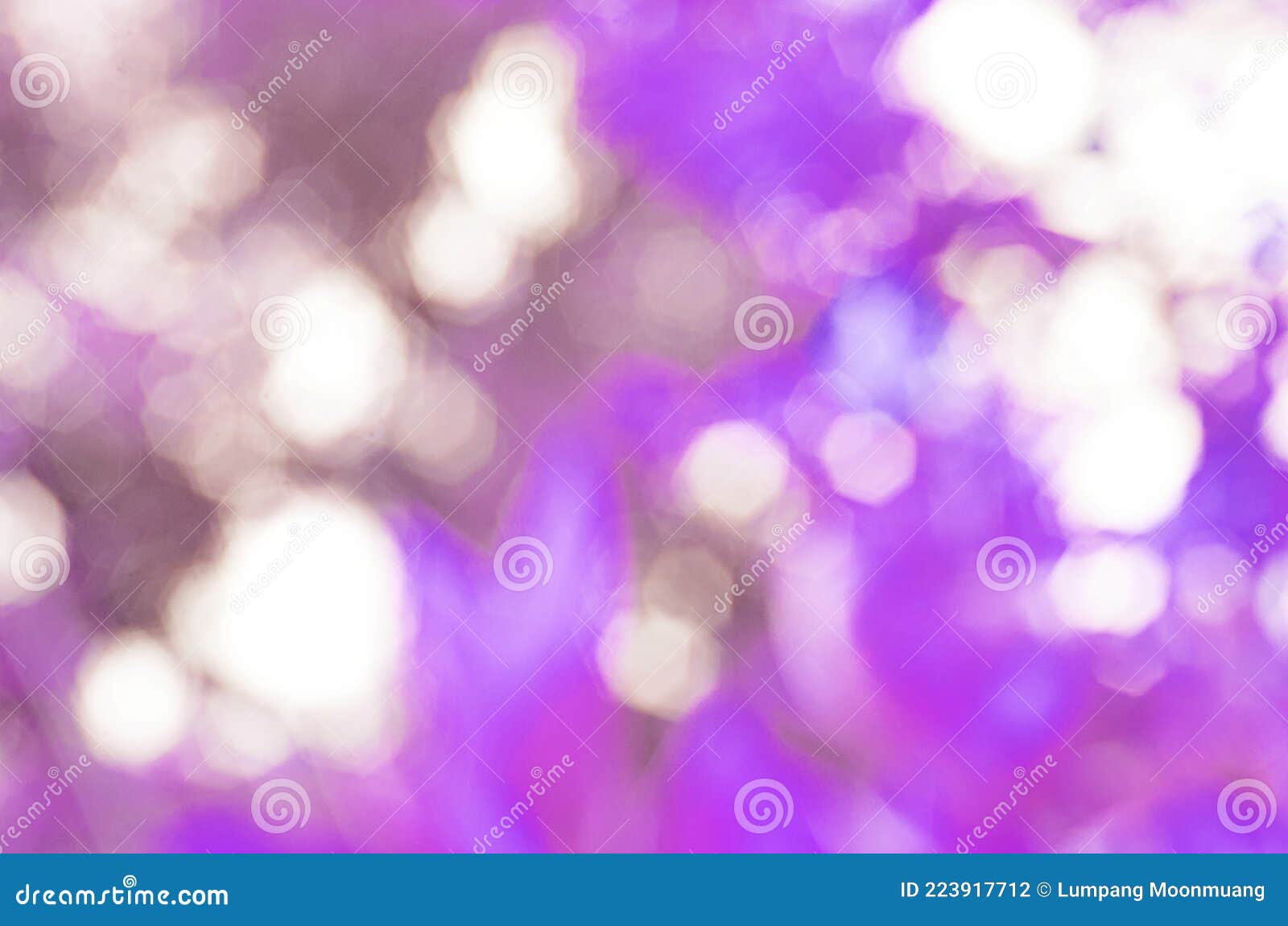 Gadient Purple Stock Photos - Free & Royalty-Free Stock Photos from ...