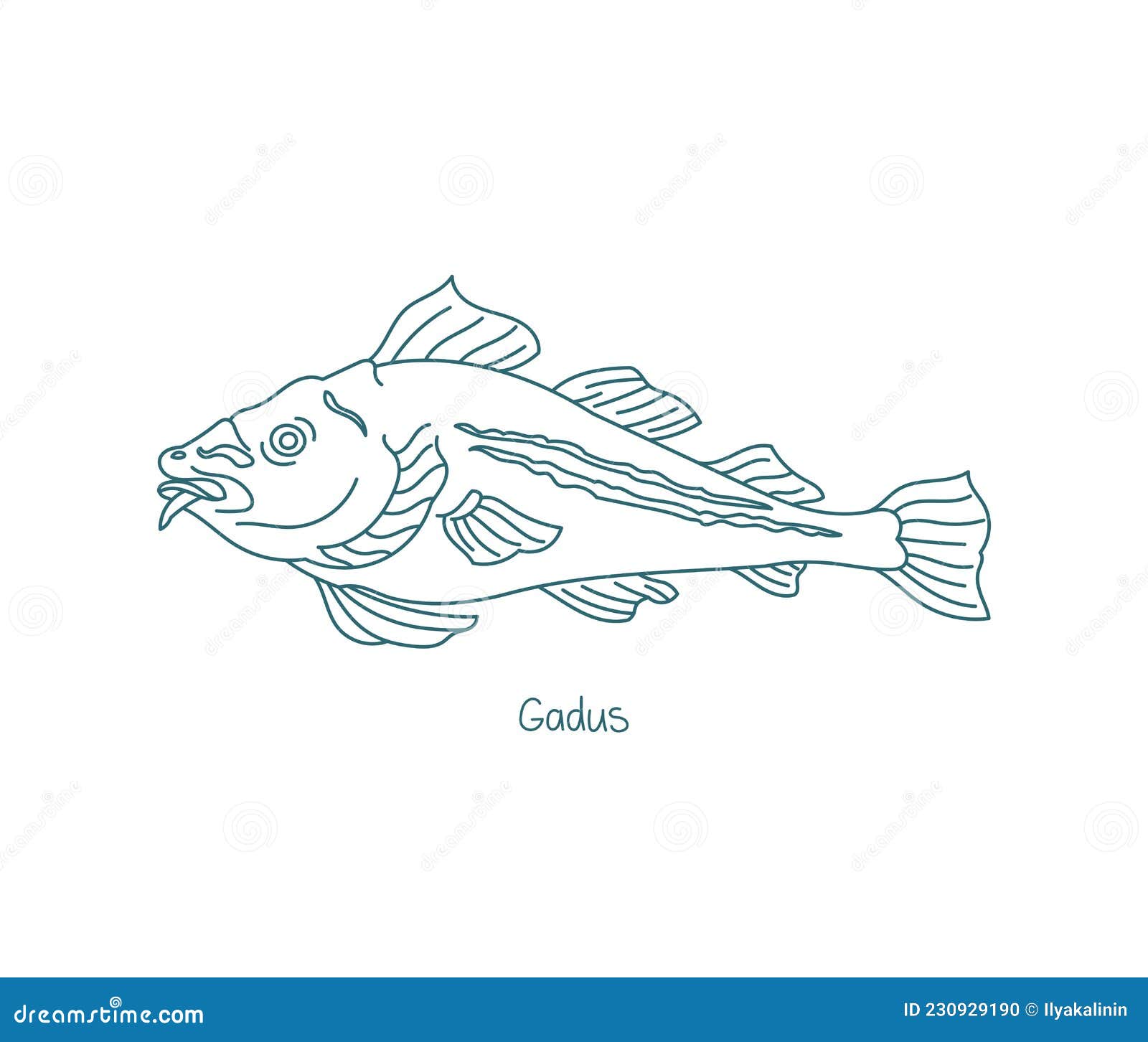 Atlantic Cod Gadus Morhua Or Codling Side View Line Art Style Black And ...
