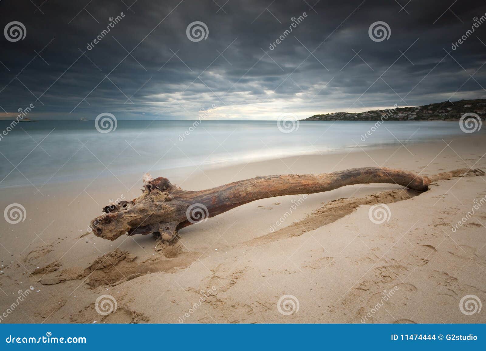 Gaeta Serapo Beach stock photo. Image of driftwood, hill - 11474444