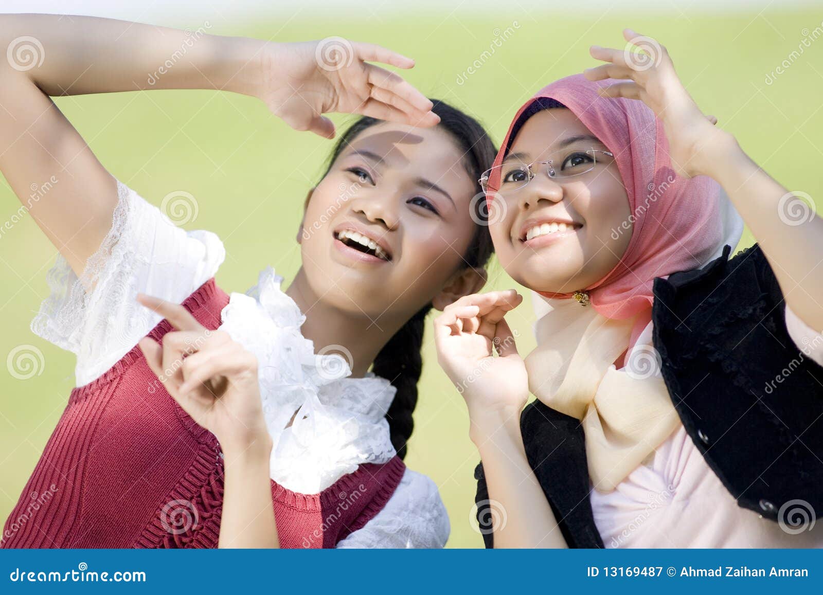 Gai image stock. Image du zone, groupe, femelle, attrayant - 13169487