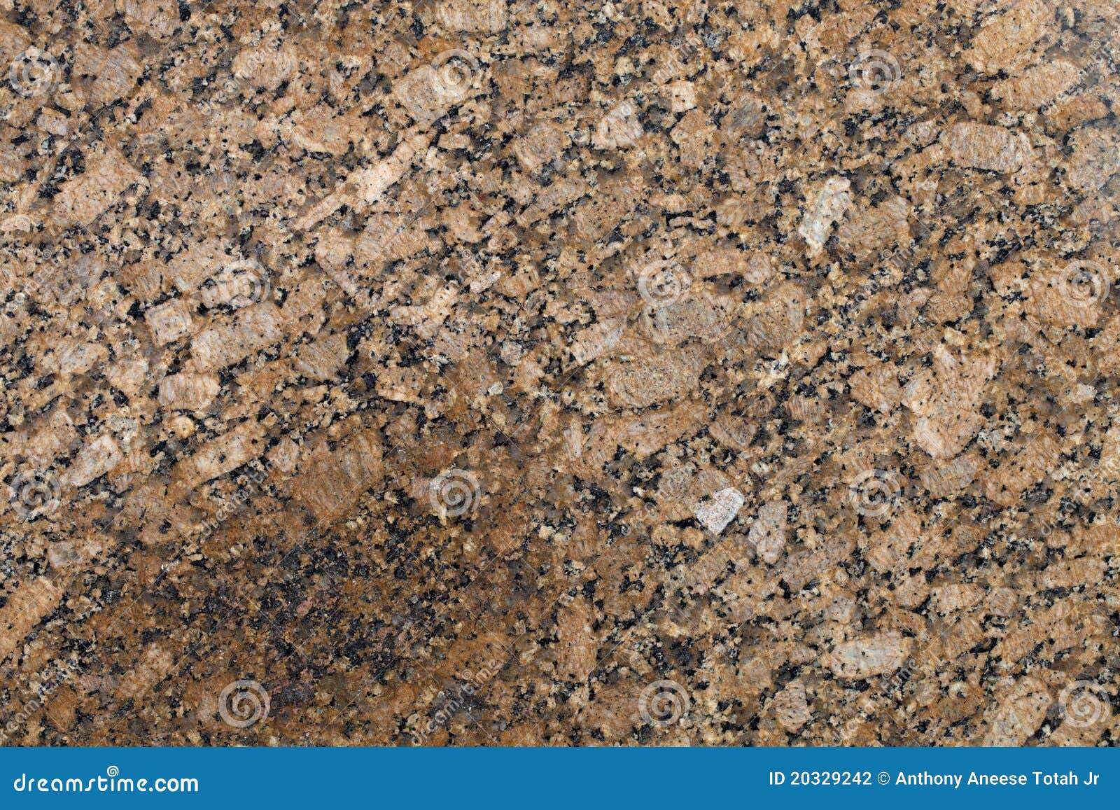 Gaillo Fierito Stock Photos - Free & Royalty-Free Stock Photos from ...