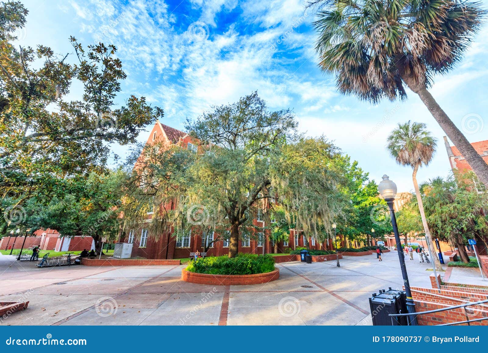 Smathers Library at the University of Florida Editorial Photography ...
