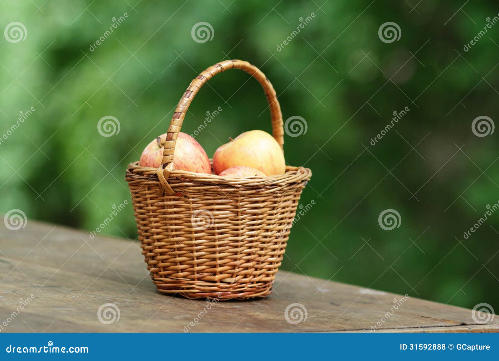 Gala Apples in a Wicker Basket Stock Photo - Image of outdoors ...