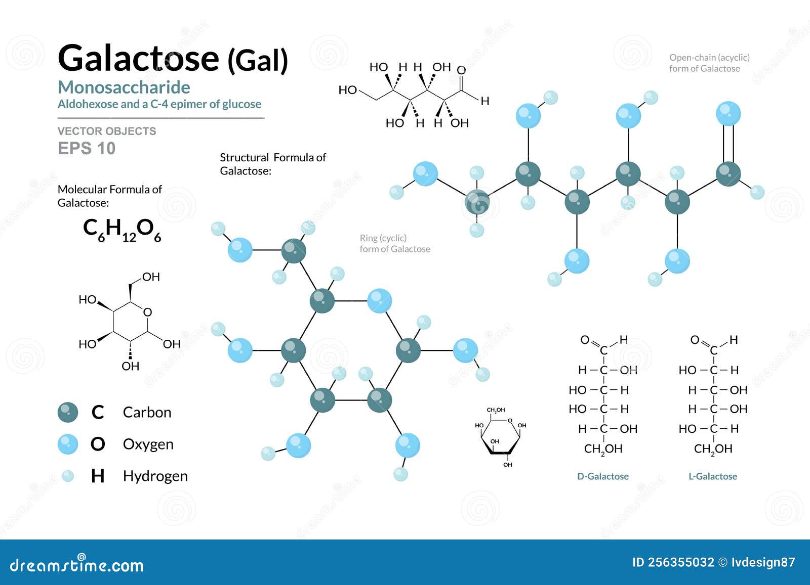 Galactose. Gal. Monosaccharide. Structuurformule En Molecuul 3d Model ...