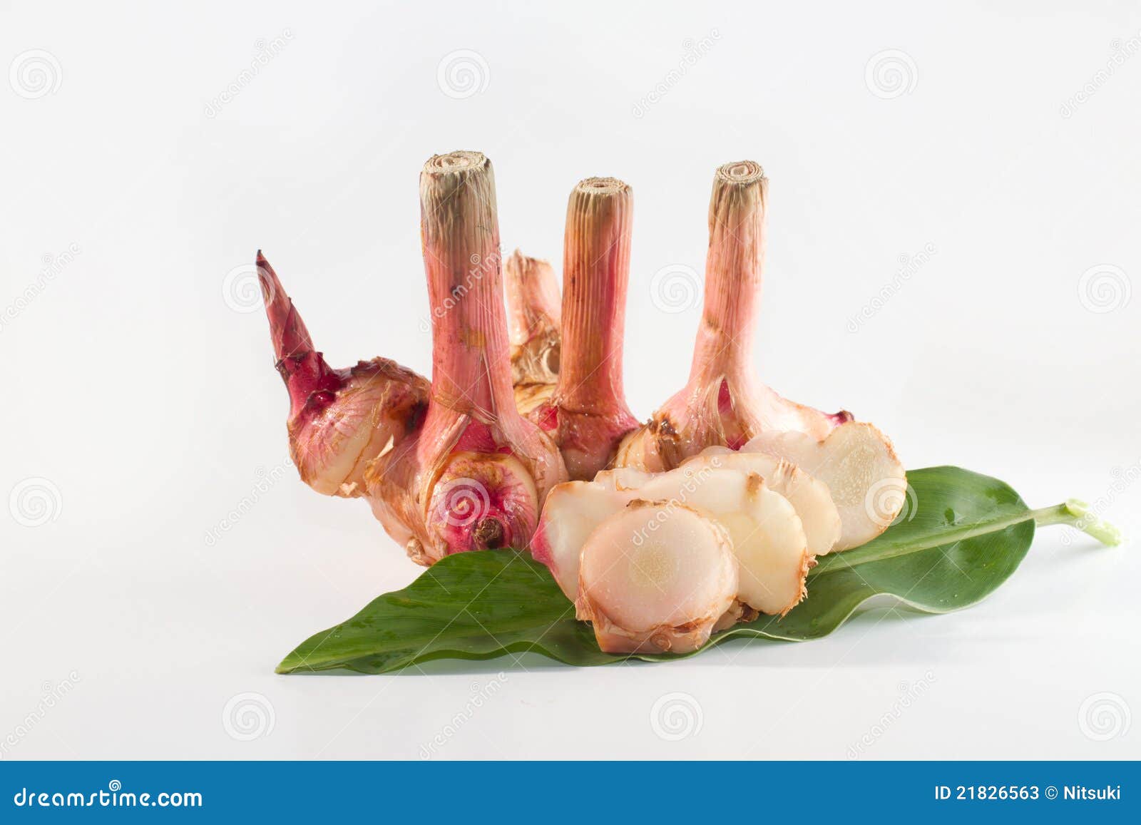 Galangal stock image. Image of cutting, root, swartz - 21826563