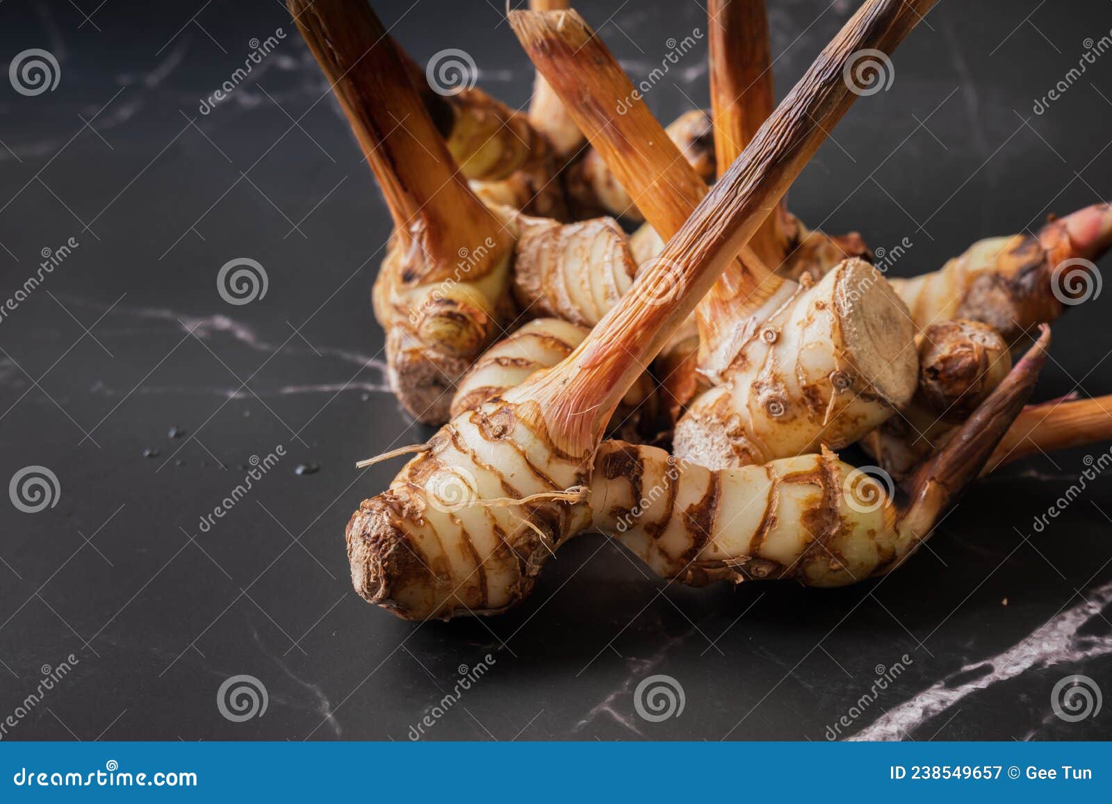 Galangal Roots with Dark Background Stock Image - Image of isolated ...