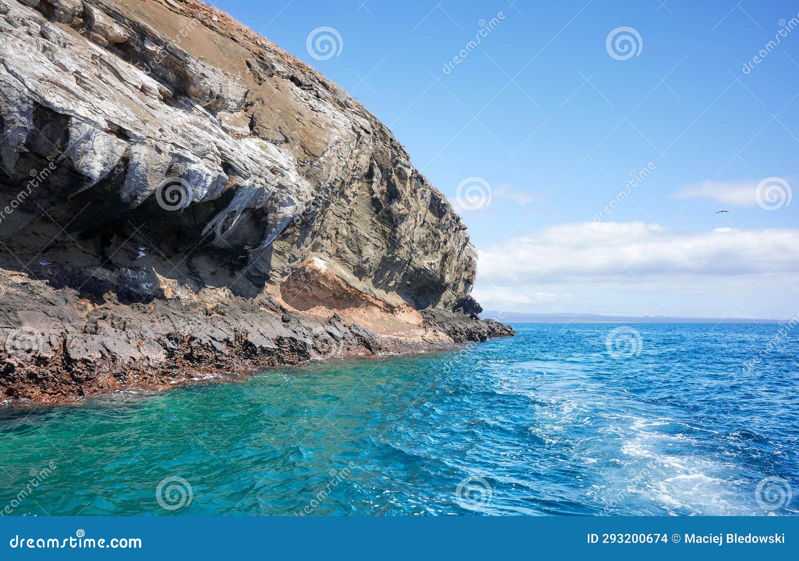 Galapagos Cliff Crabs Stock Photo | CartoonDealer.com #36422118