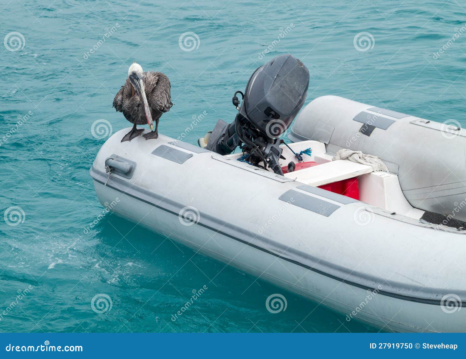 Inflatable Pelican Pool Toy In Empty Pool. Royalty-Free Stock Photo ...