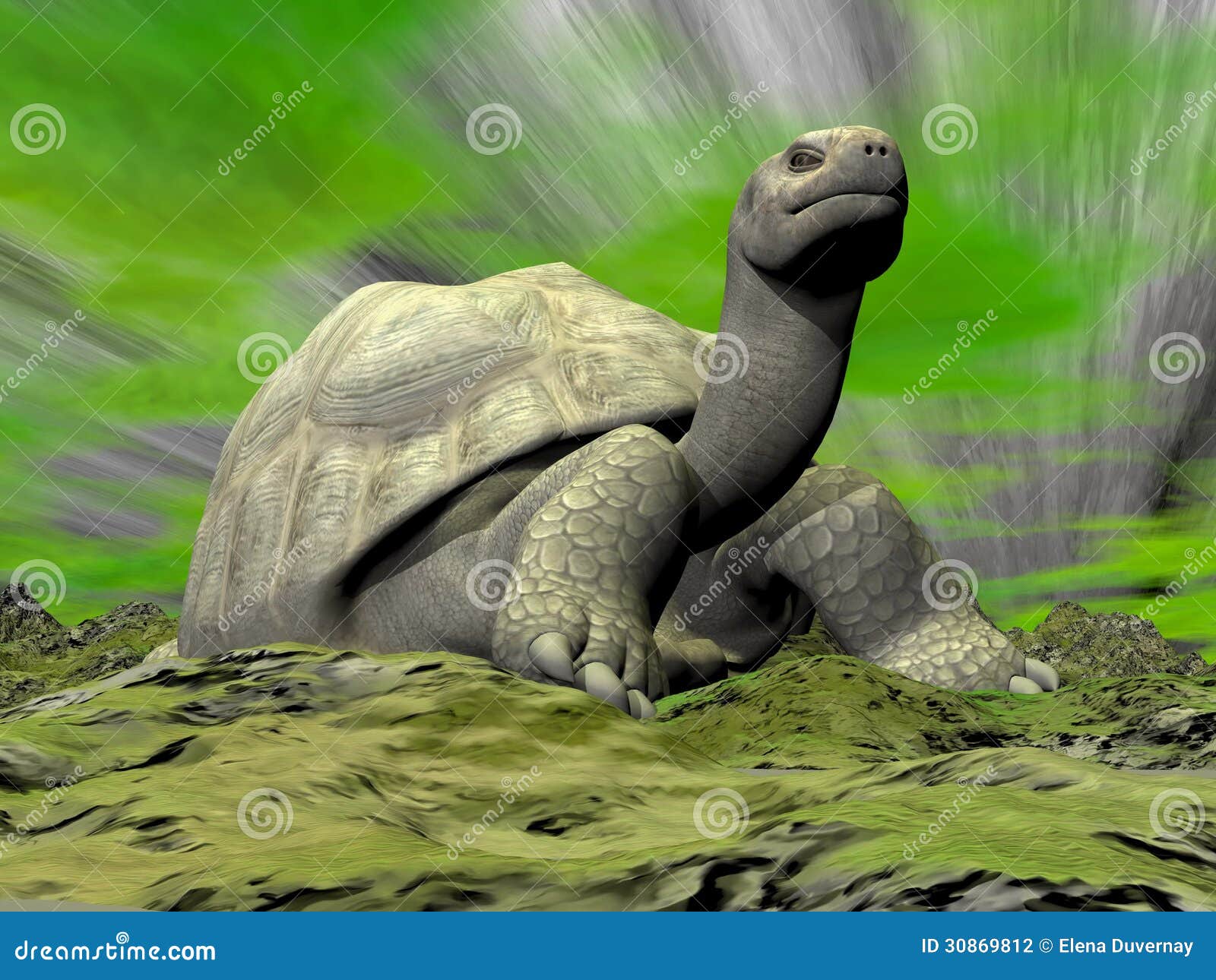 Galapagos Tortoise And Giant Tortoises Royalty-Free Stock Photo ...