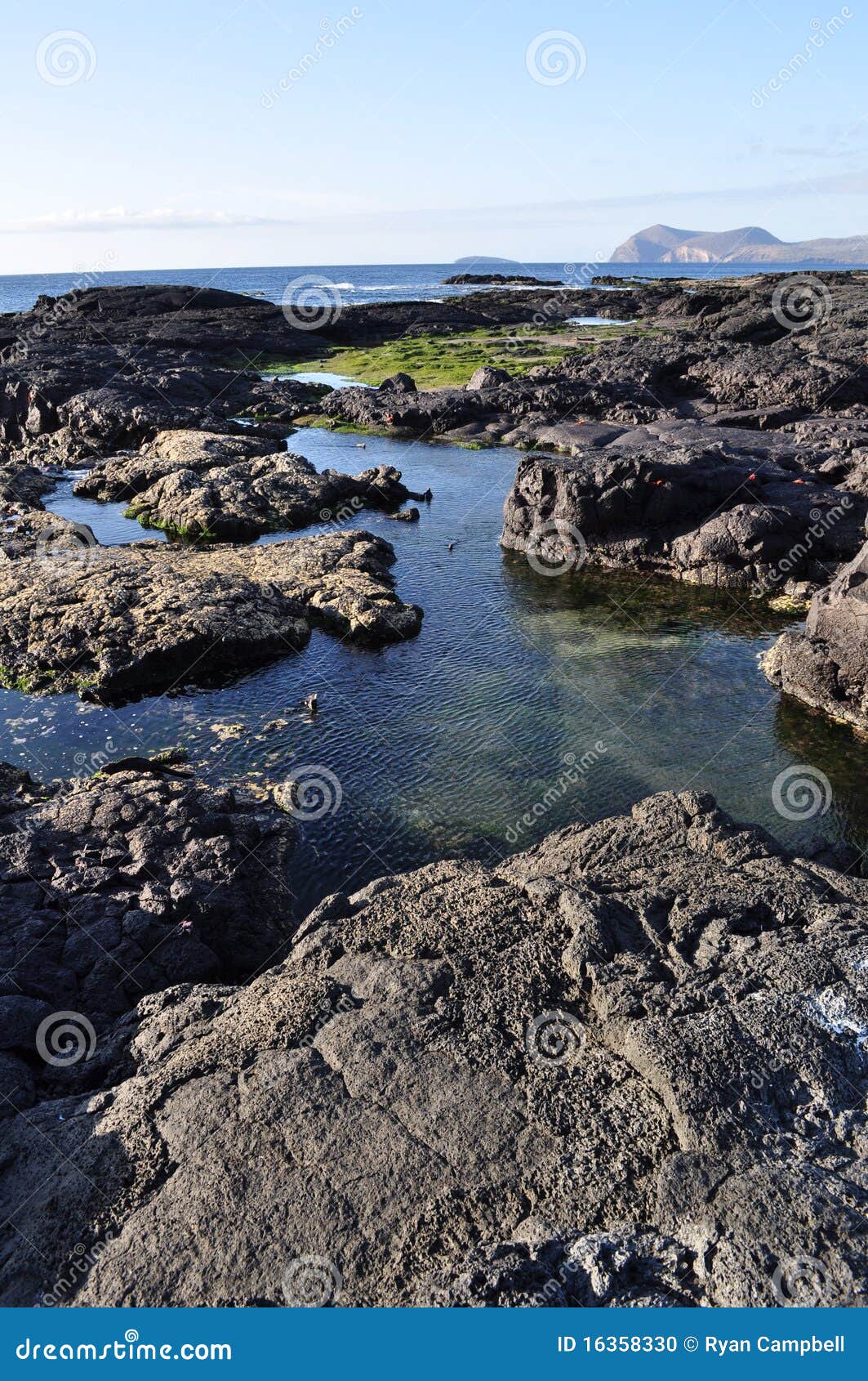 Galapagos Volcanic Rock stock photo. Image of volcanic - 16358330