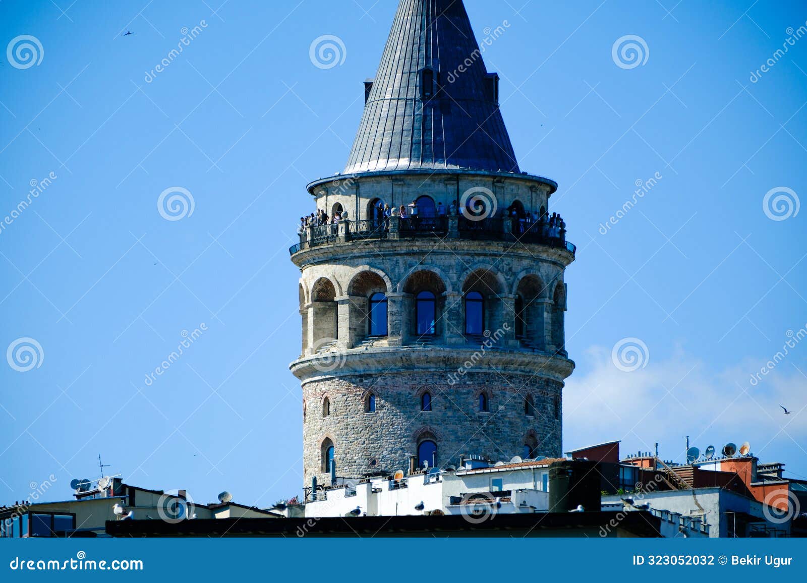 Galata Tower Panda Bear Graffity Editorial Photo | CartoonDealer.com ...