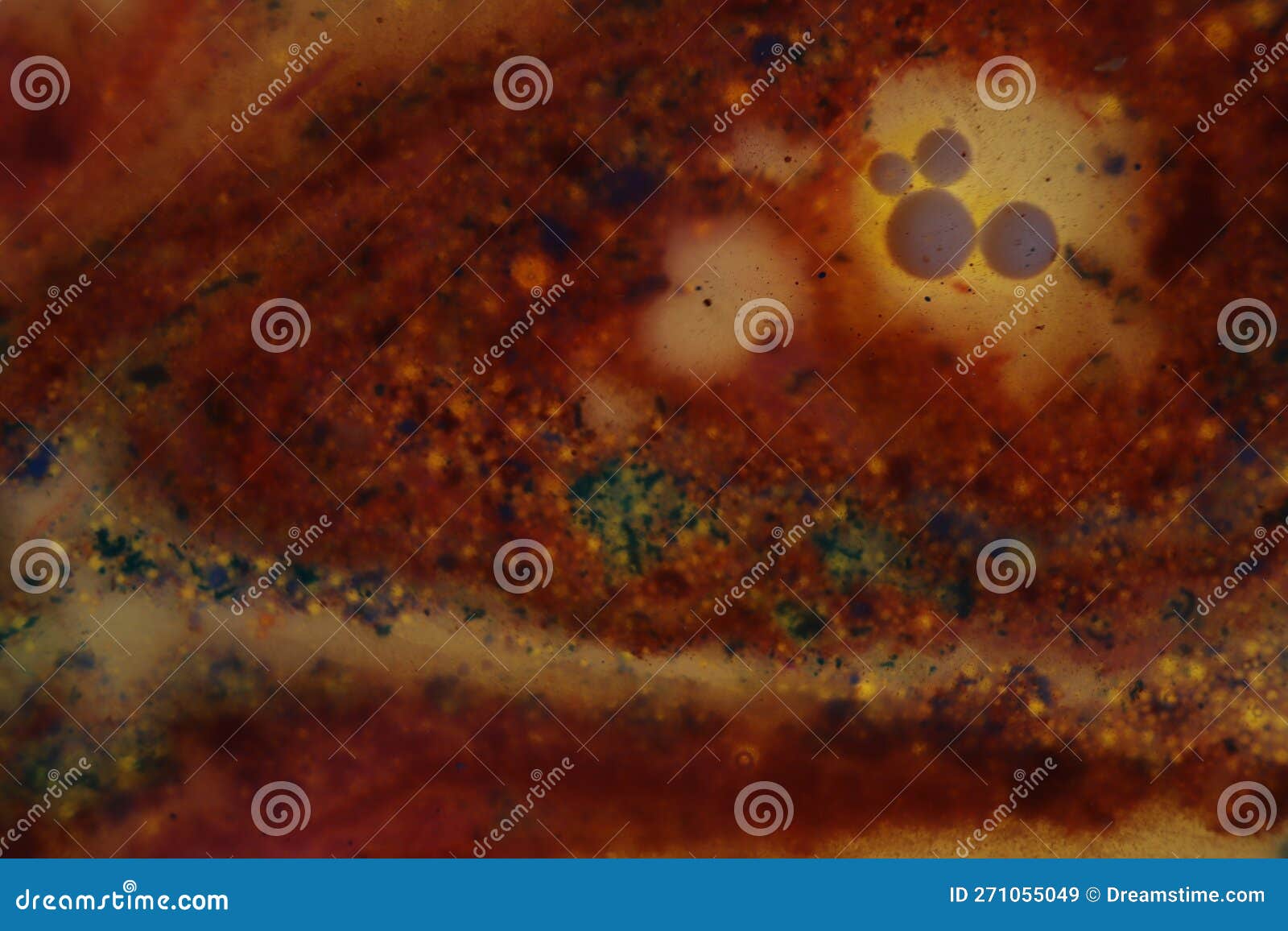 Raro Diferente Stock Photos - Free & Royalty-Free Stock Photos from ...