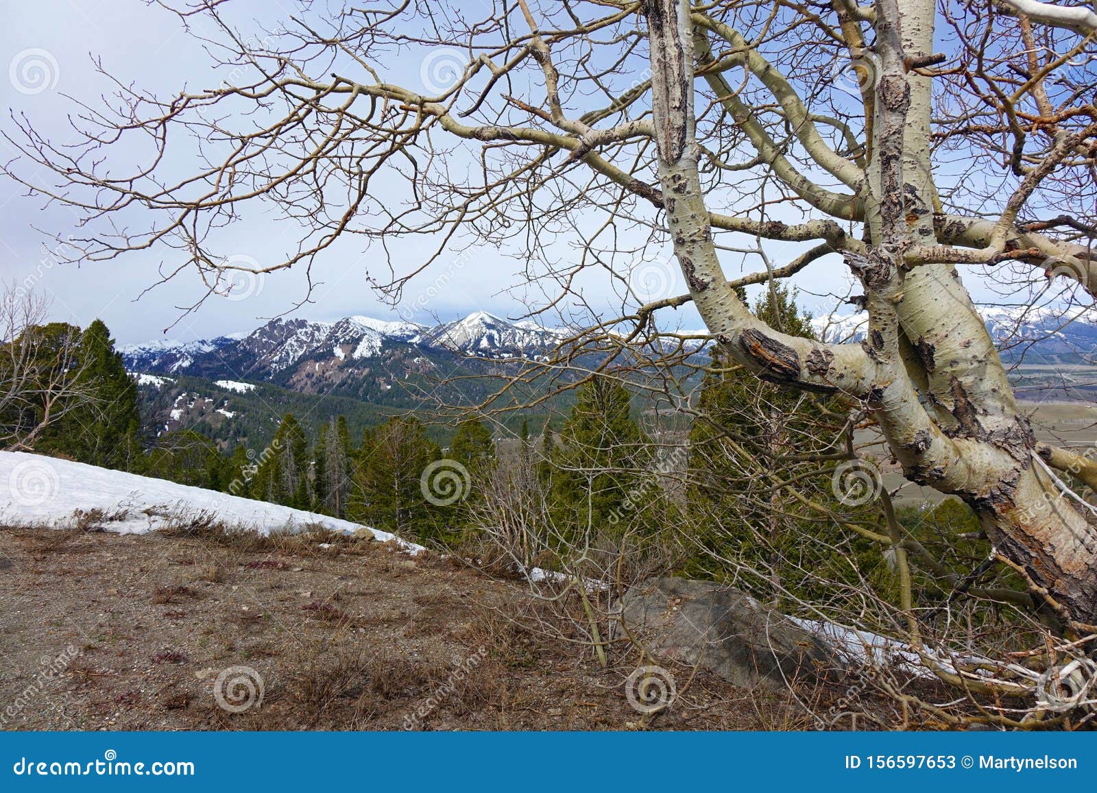 Galena Summit, Idaho stock image. Image of trees, sawtooth - 156597653