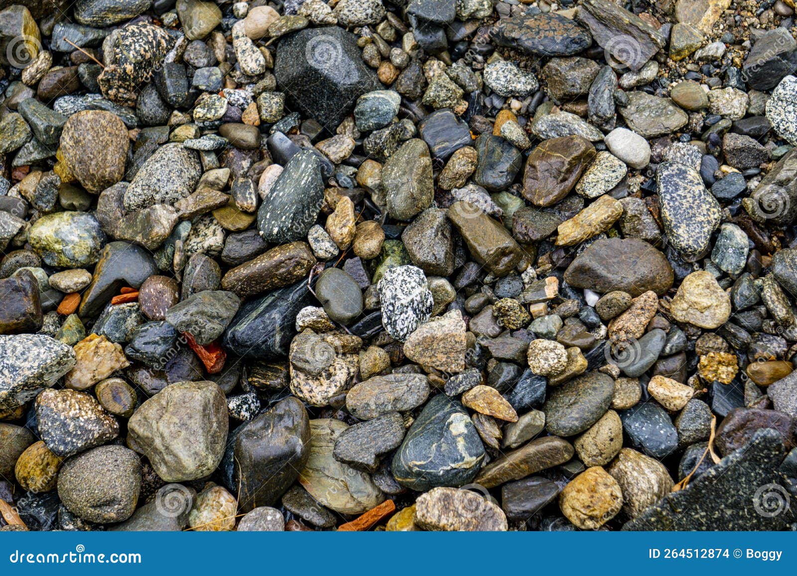 Galets sur le rivage photo stock. Image du multicolore - 264512874