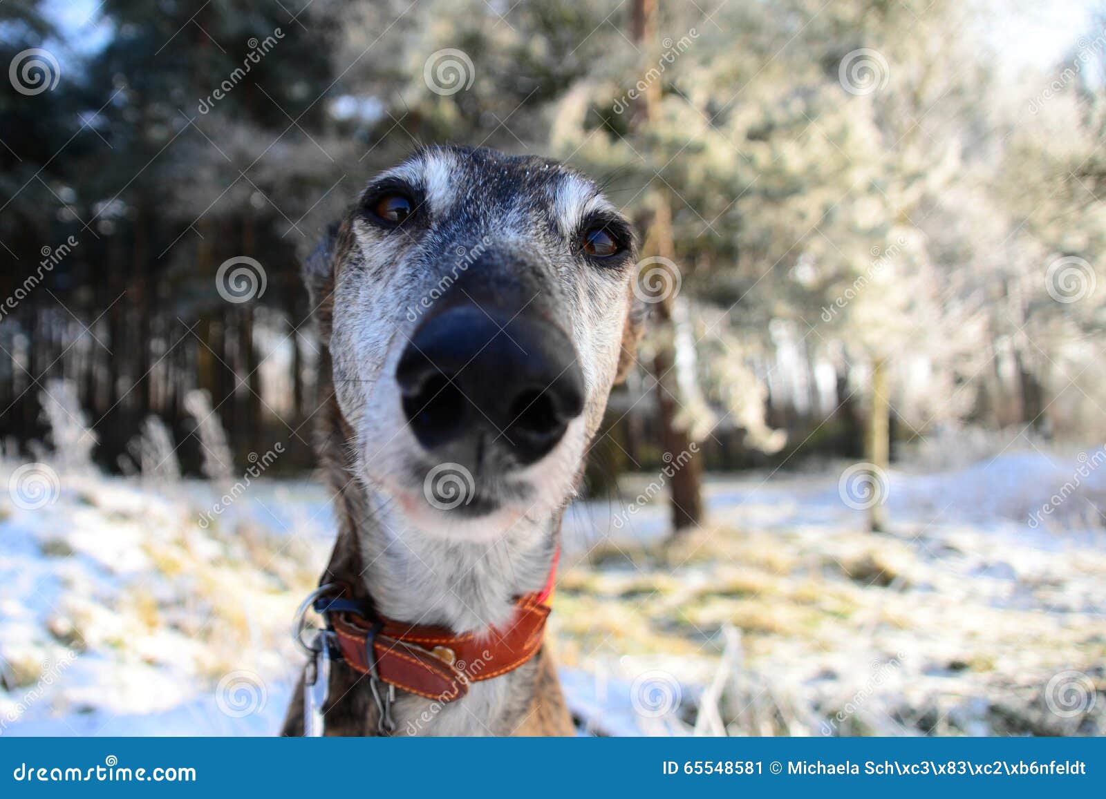 Goofy Looking Maniac Scientist With Dreadful Face Mixing Substances ...
