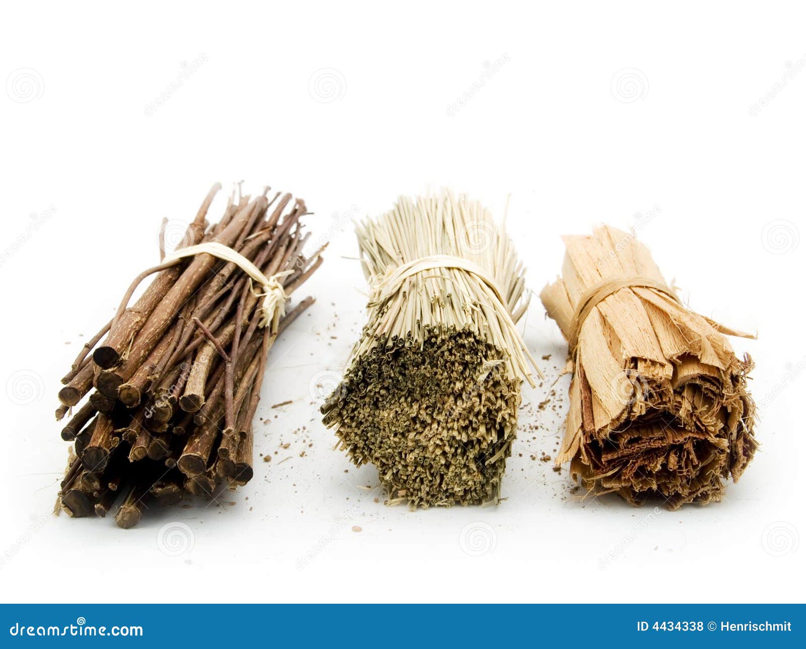 Galho Imagem. Imagem: 4434338