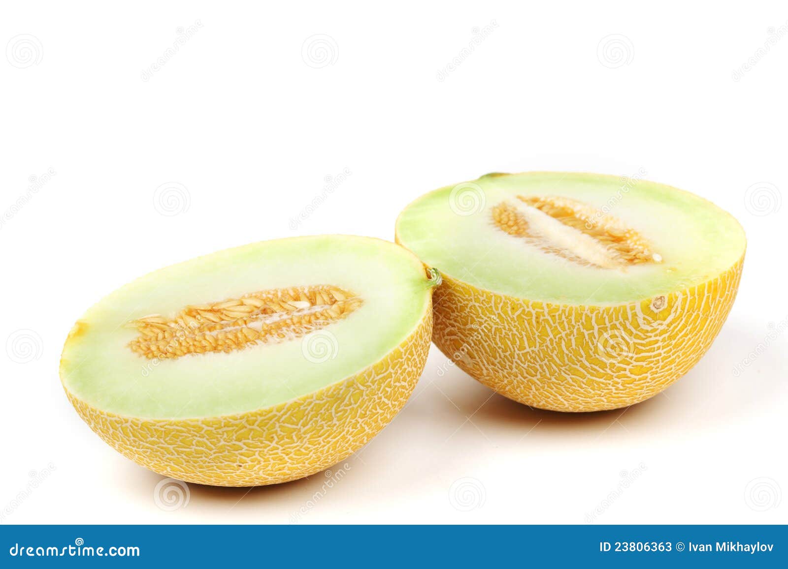 Galiamelone fotografering för bildbyråer. Bild av objekt - 23806363