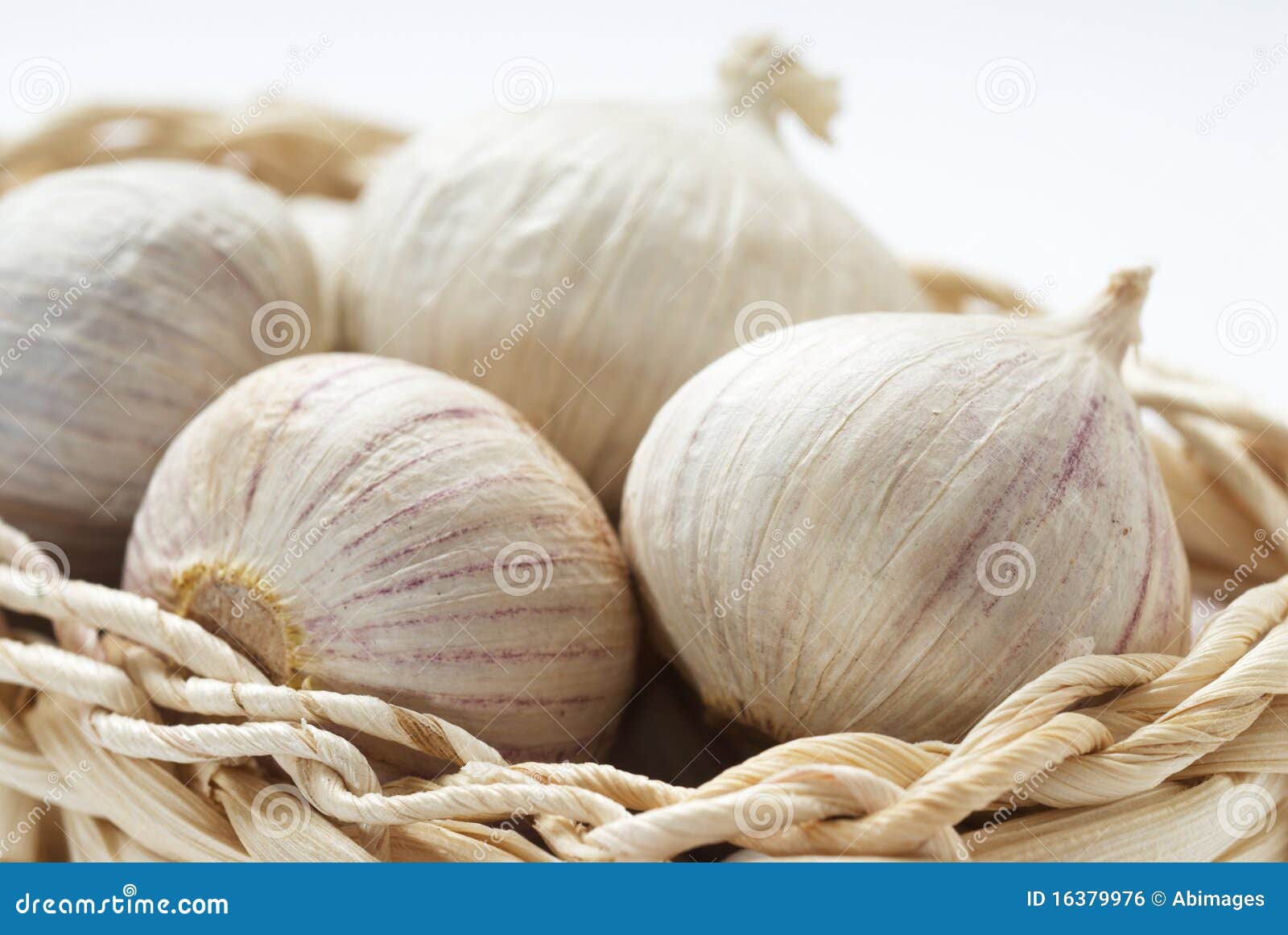 Galic bulbs stock photo. Image of organic, flavour, bulbs - 16379976
