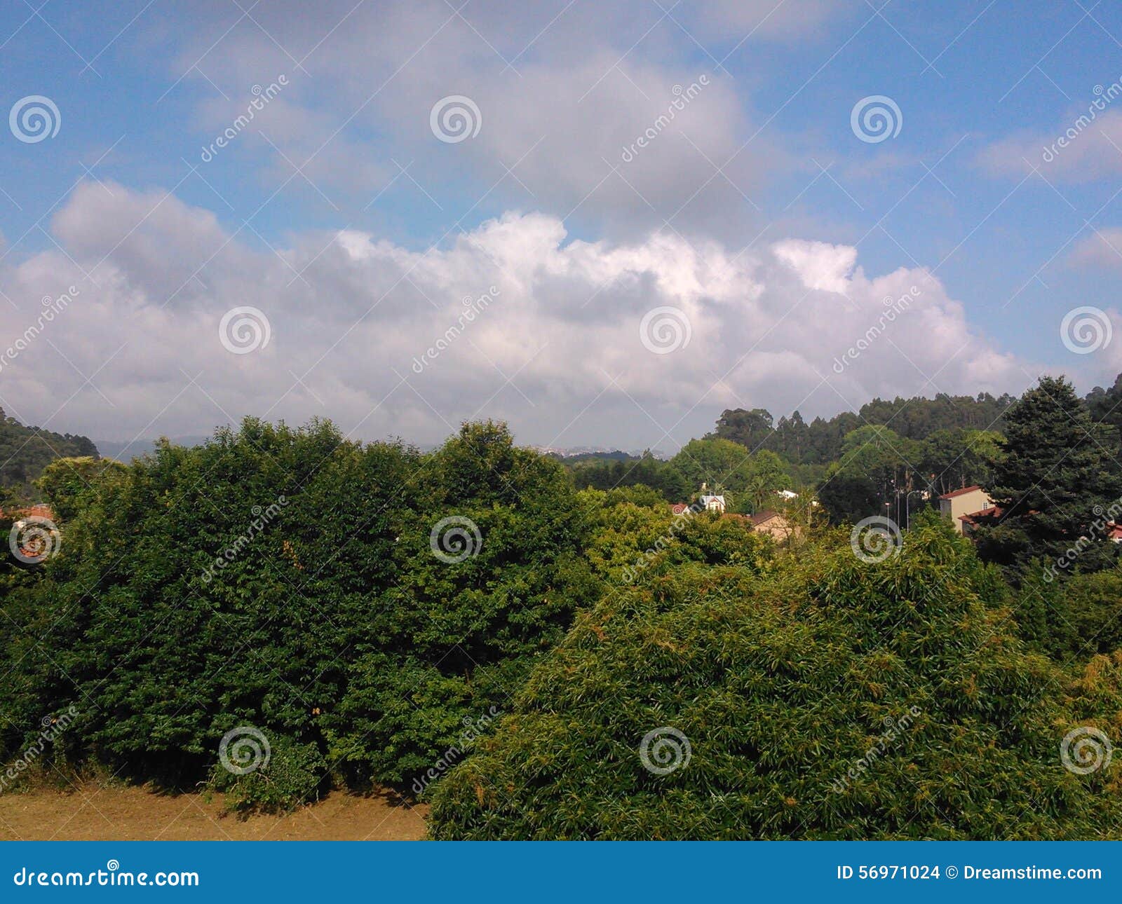 Galicia verde rural stock photo. Image of morning, verde - 56971024