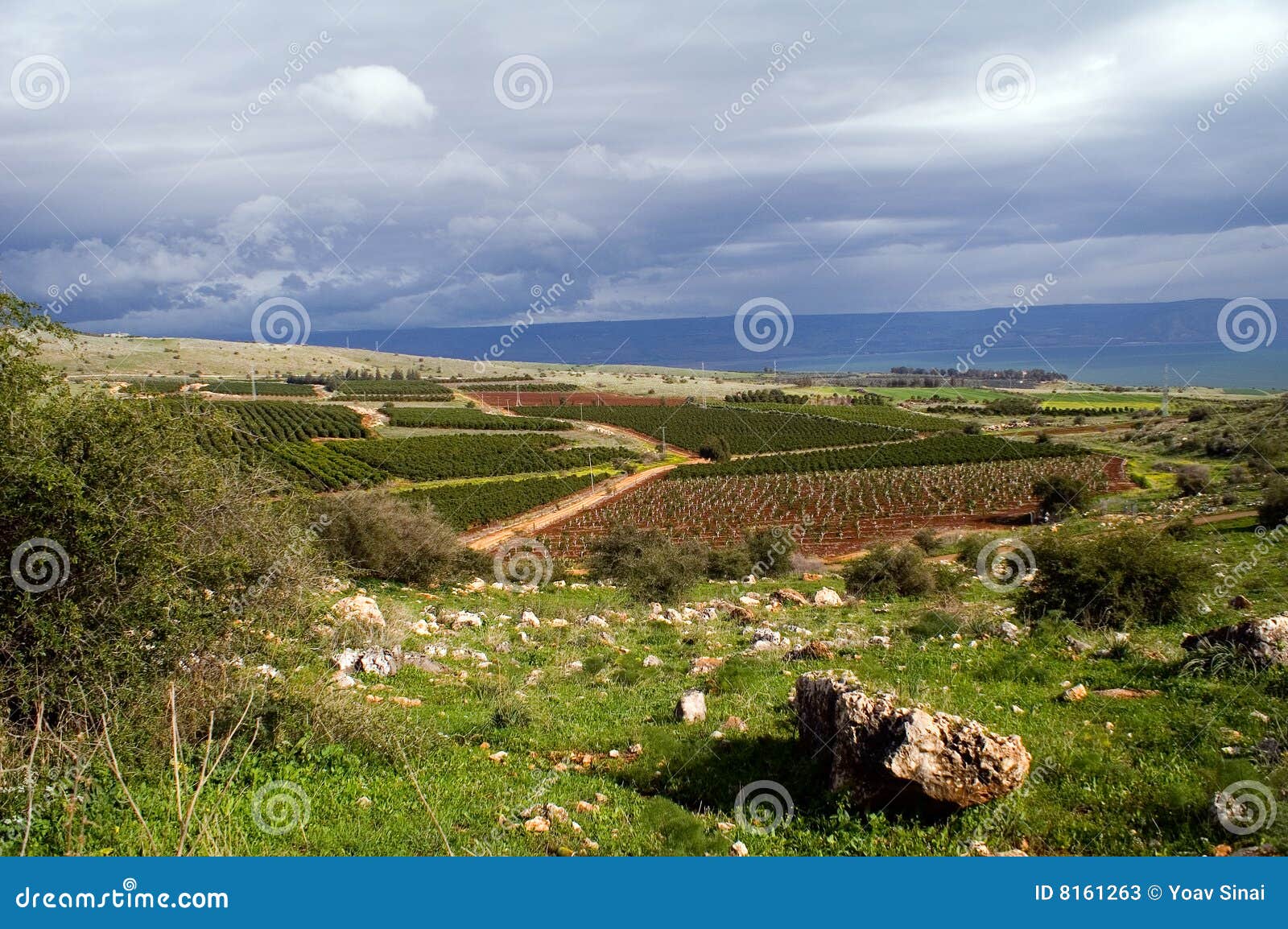 Upper Galilee View Above the Sea of Galilee Near the Village of Kahal ...