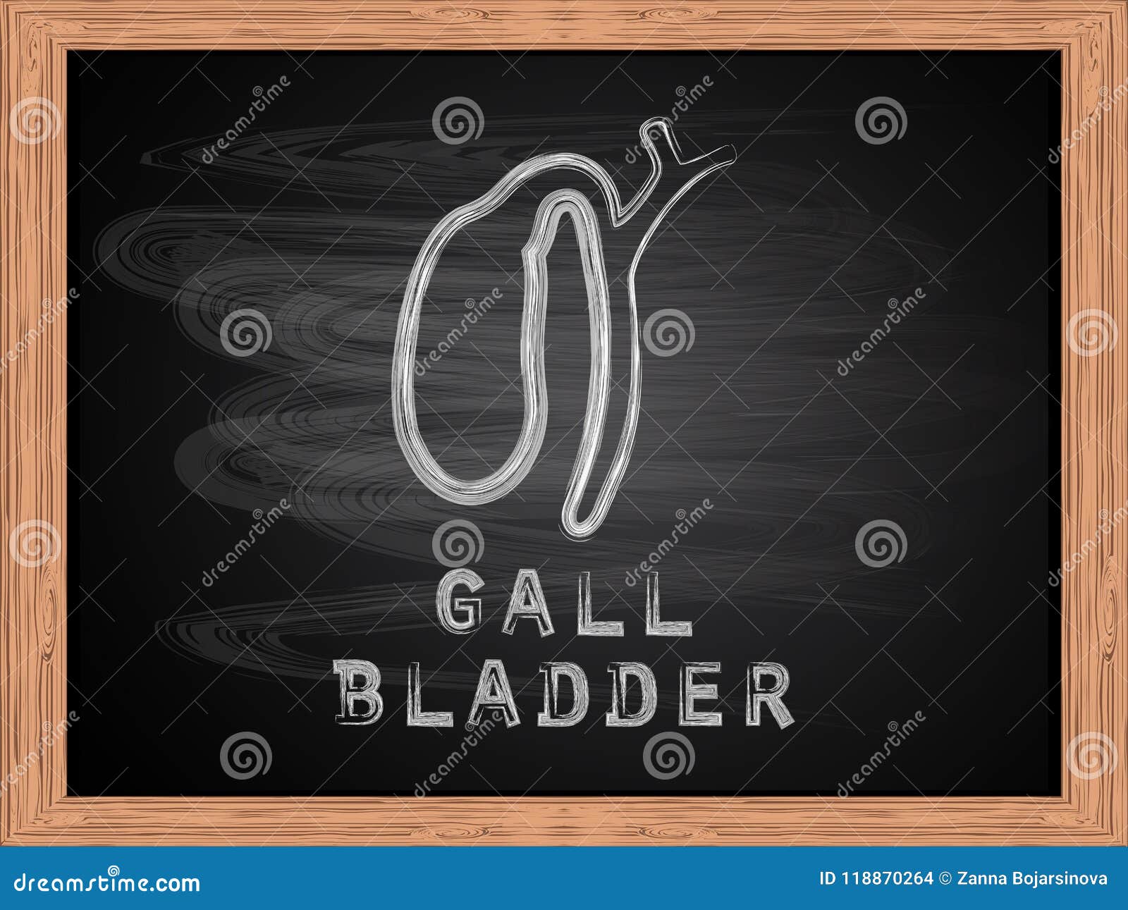 Gall Bladder Icon on Blackboard Flat Design. Stock Vector ...