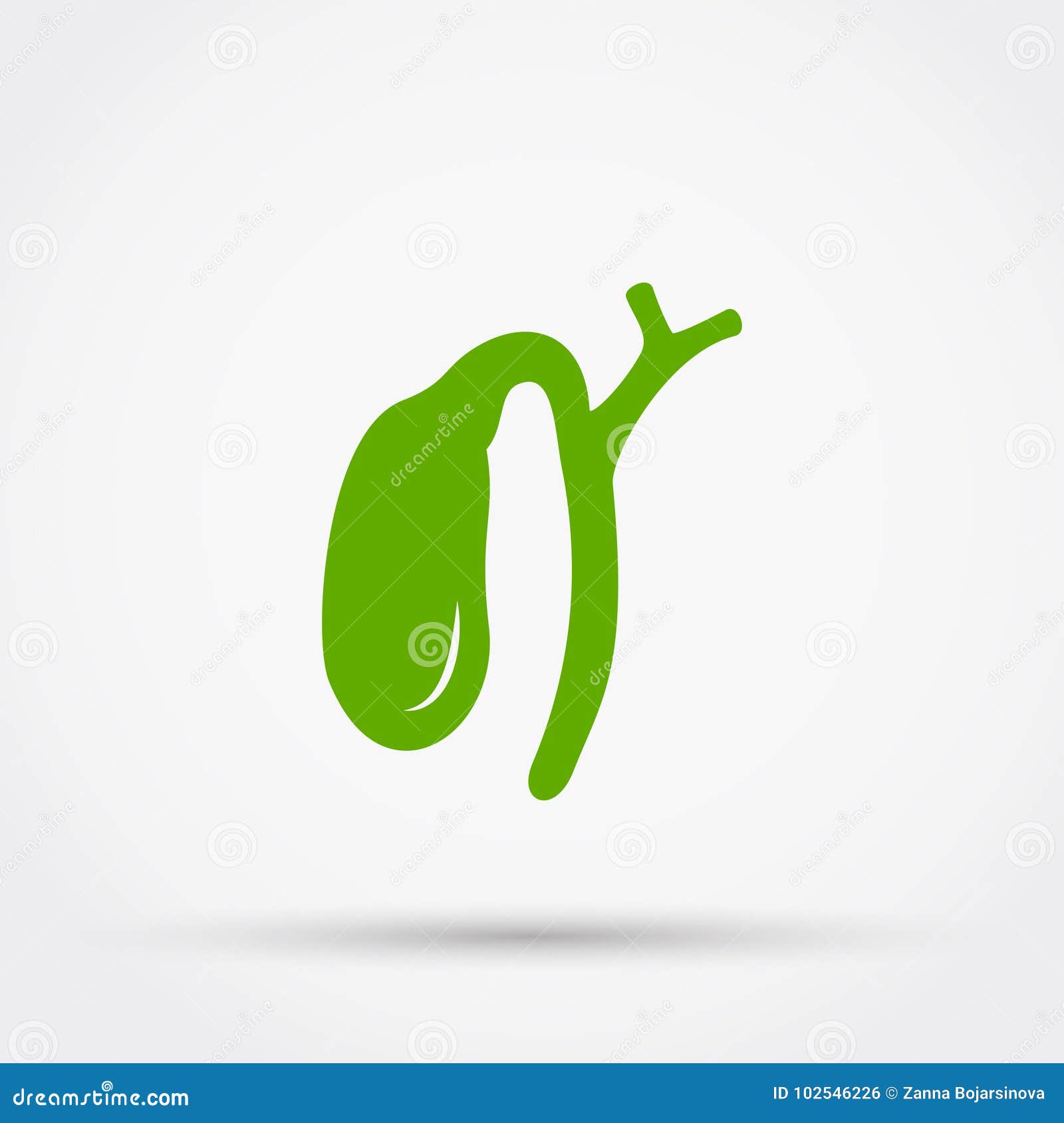 Gall bladder vector icon. stock vector. Illustration of bladder - 102546226