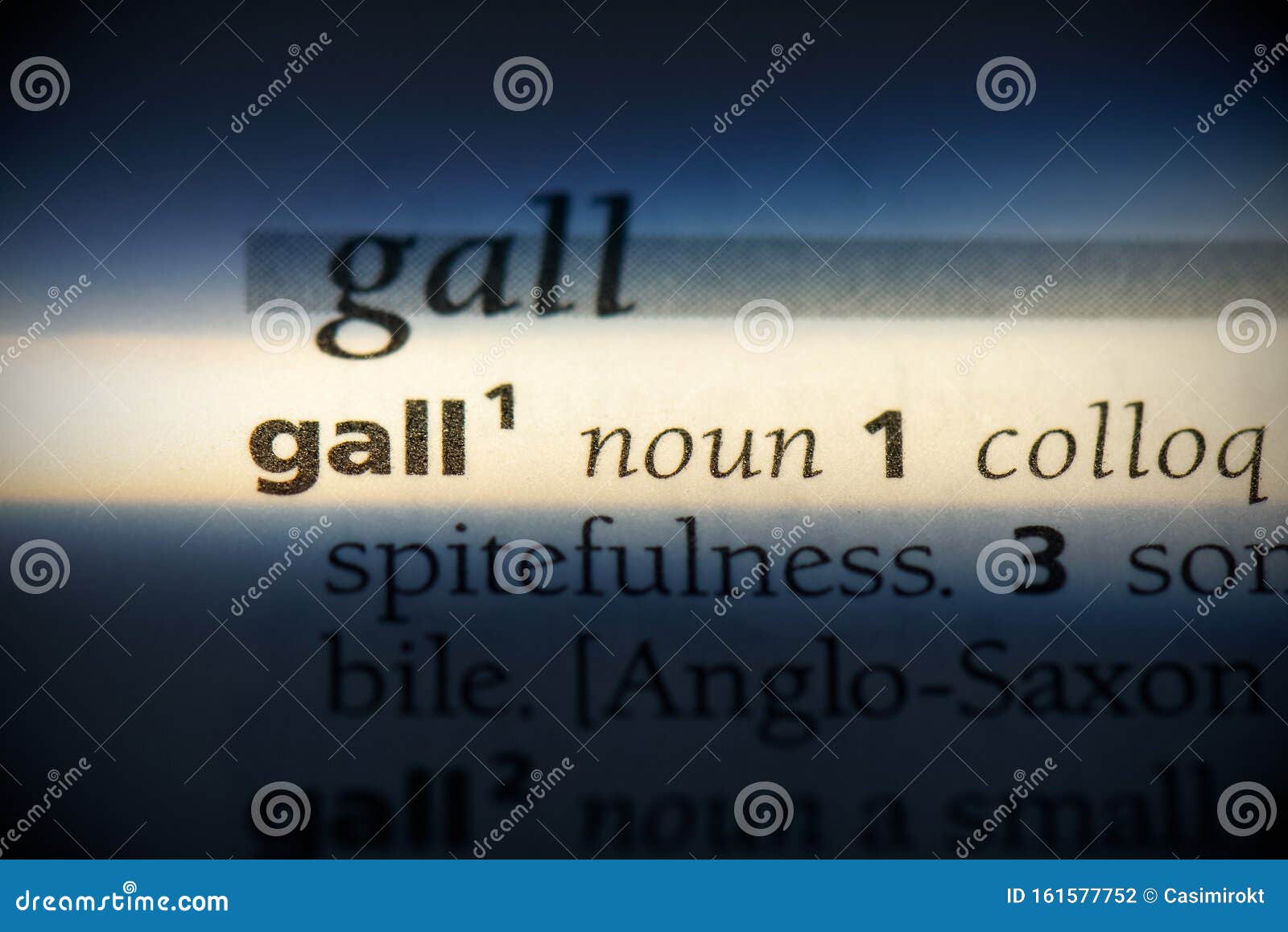 Gall stock photo. Image of macro, linguistic, dictionary - 161577752