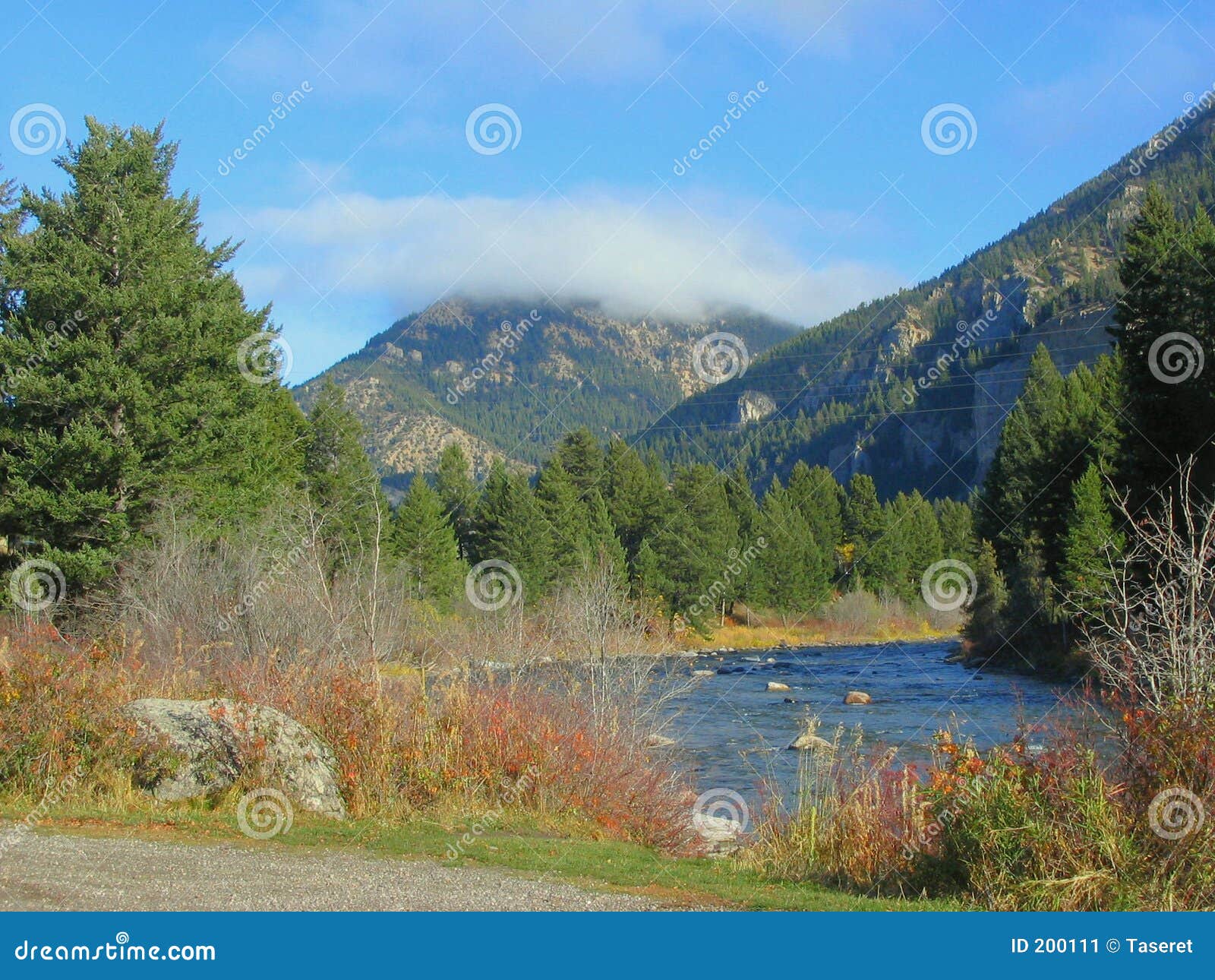 Gallatin River in the Fall stock image. Image of fishing - 200111