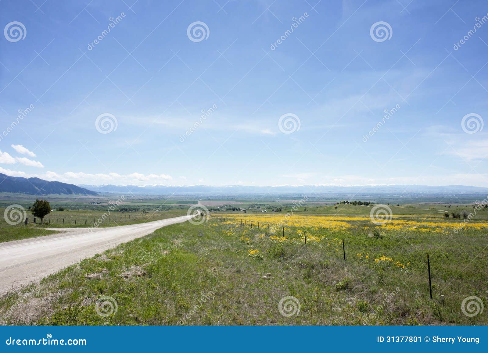 Gallatin Valley stock image. Image of mountain, summer - 31377801