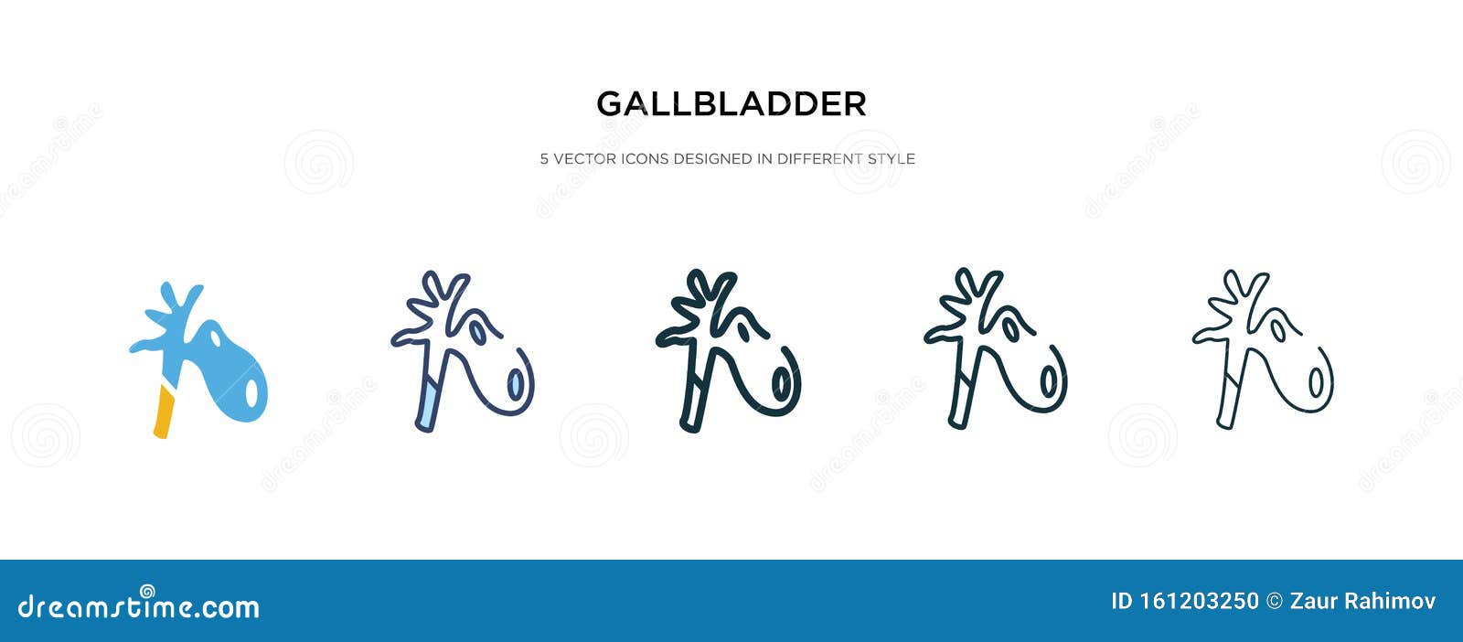 Gallbladder Icon in Different Style Vector Illustration. Two Colored ...