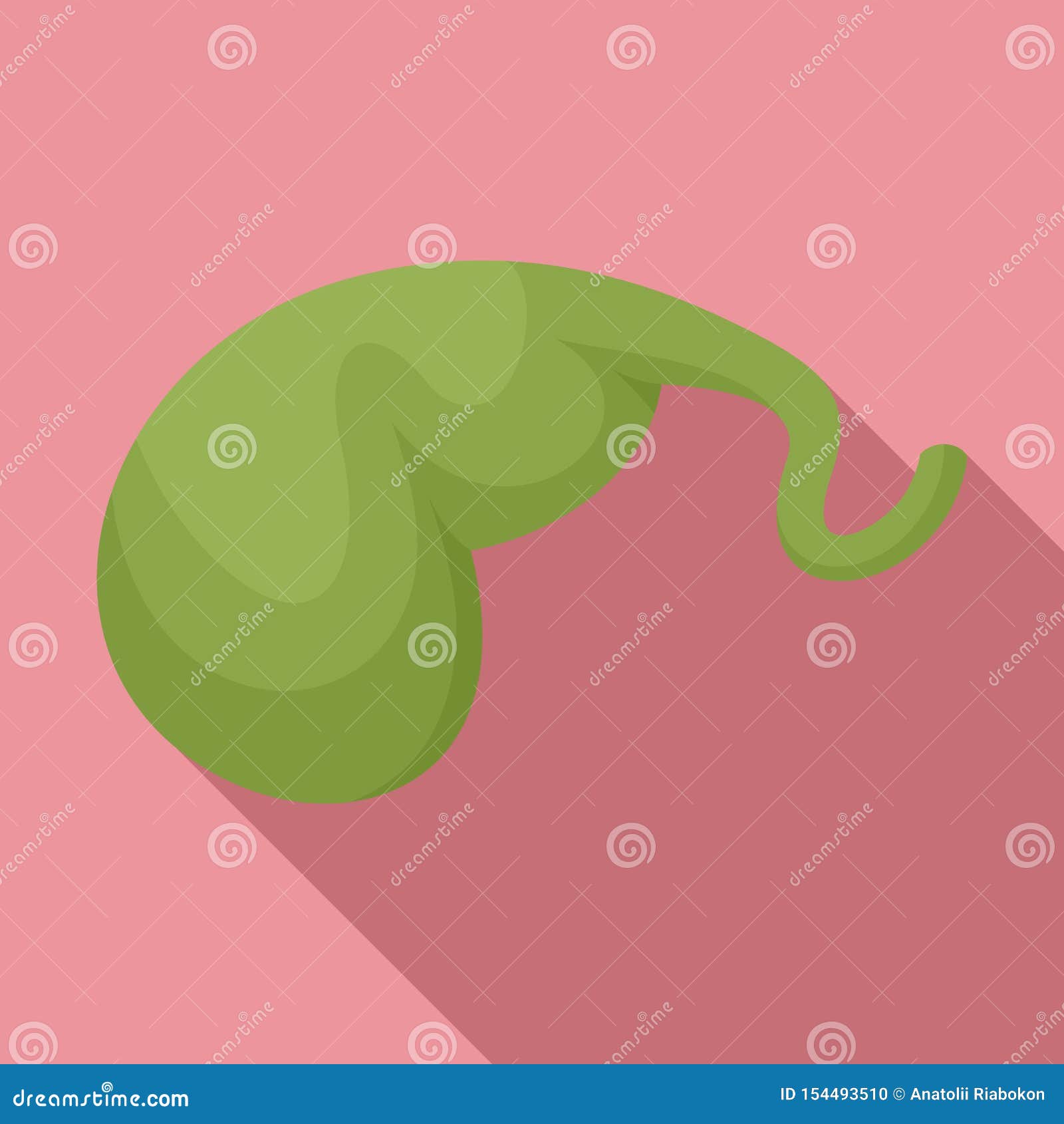 Gallbladder Icon, Flat Style Stock Vector - Illustration of anatomical ...