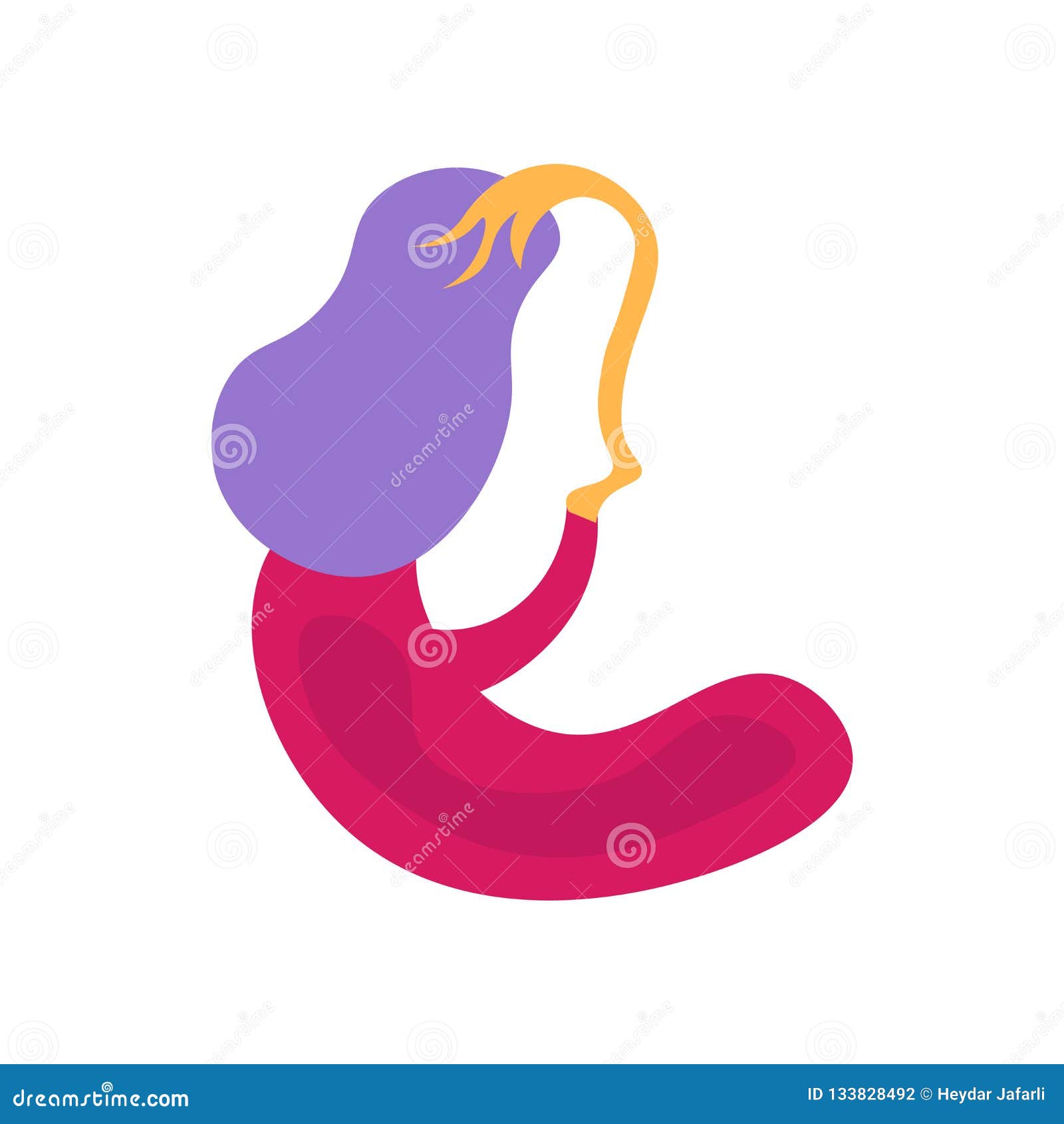 Gallbladder Icon Vector Sign and Symbol Isolated on White Background ...