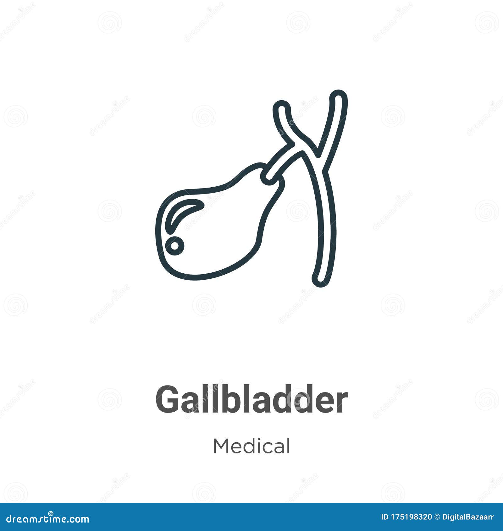 Gallbladder Outline Vector Icon. Thin Line Black Gallbladder Icon, Flat ...