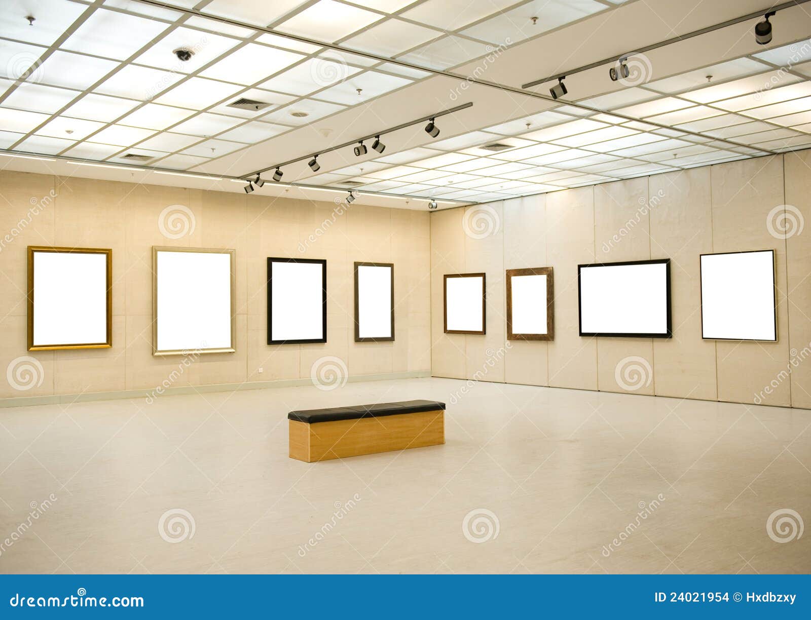 Gallery Interior stock photo. Image of contemporary, luxury - 24021954