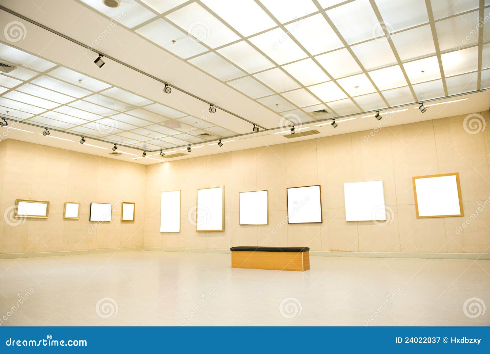 Gallery Interior stock image. Image of creativity, culture - 24022037