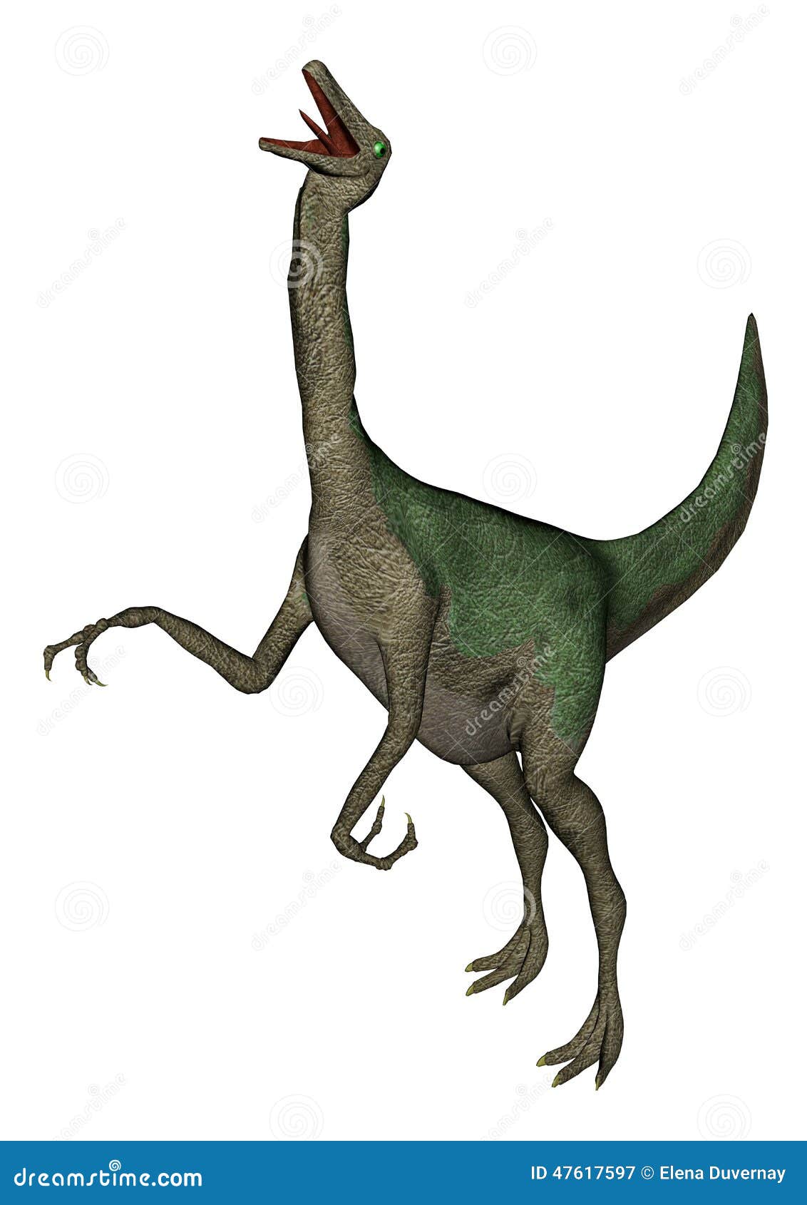 Gallimimus Dinosaur Roaring - 3D Render Stock Illustration ...
